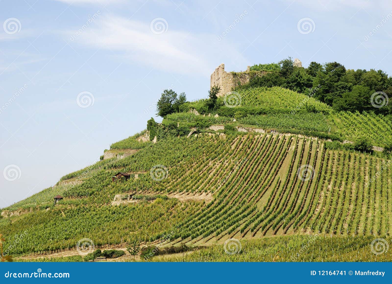 Castle on a vineyard stock image. Image of ancient, hulk - 12164741