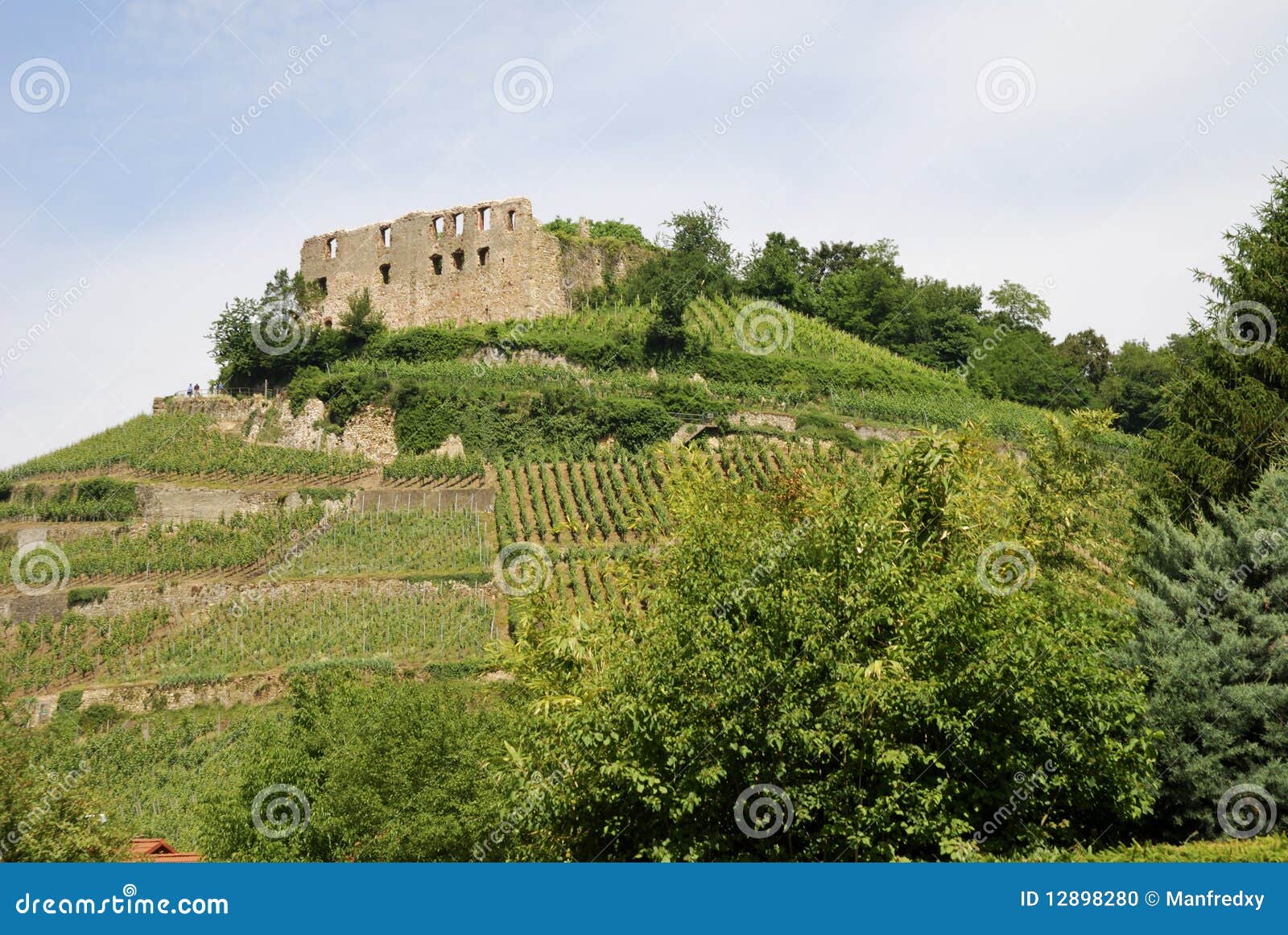 Castle on a vineyard stock photo. Image of ruin, viticulture - 12898280