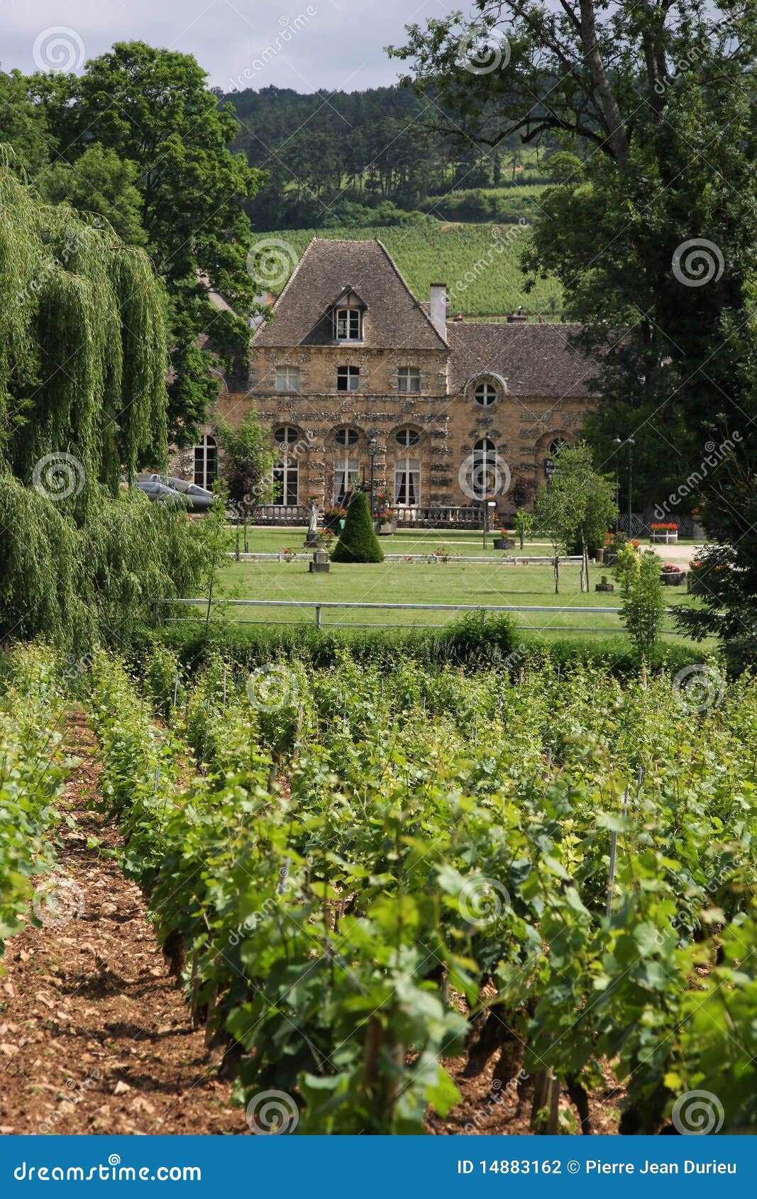 Castle and Vineyard stock photo. Image of outdoor, exterior - 14883162