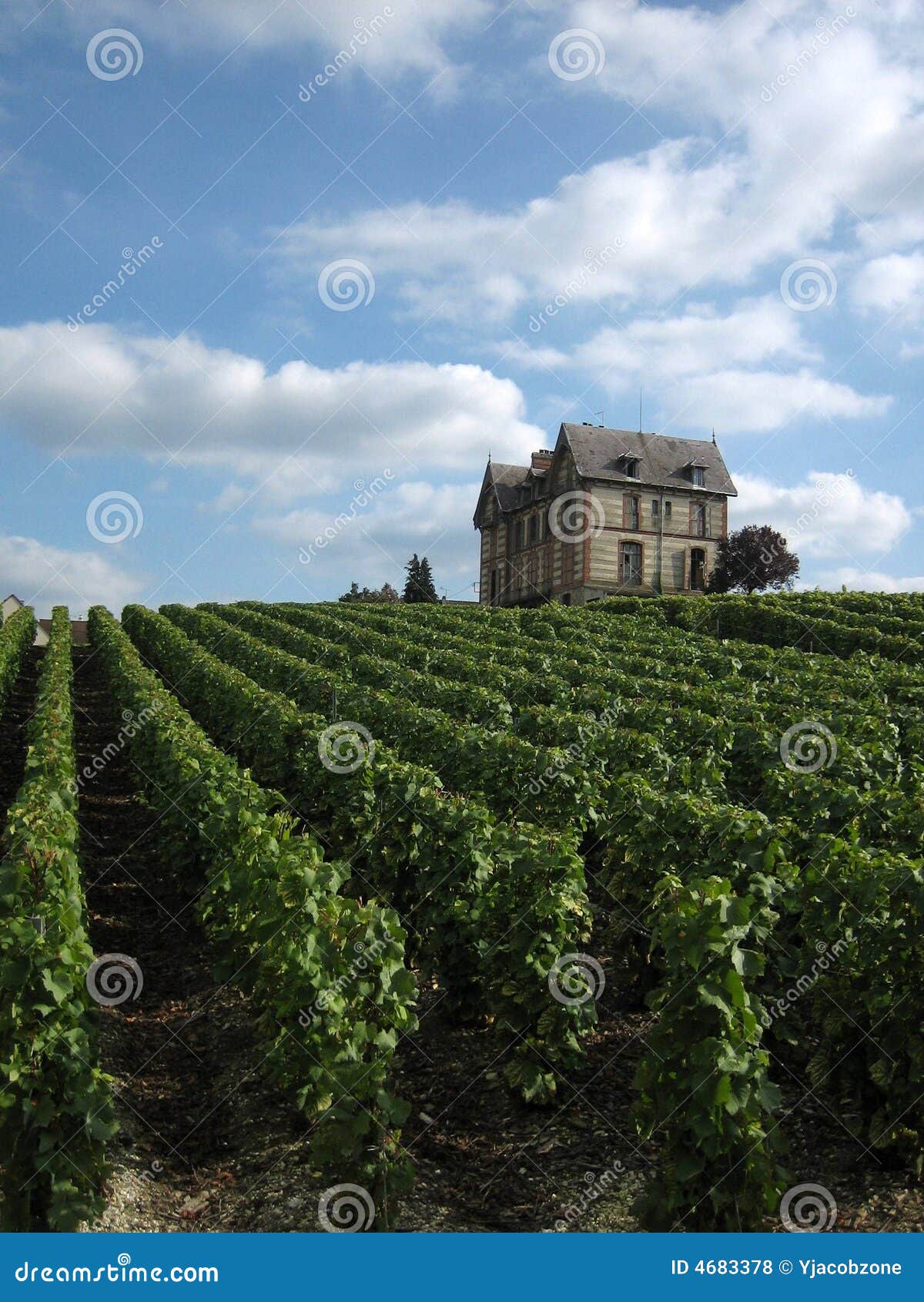 Castle in Vineyard stock photo. Image of champagne, castle - 4683378