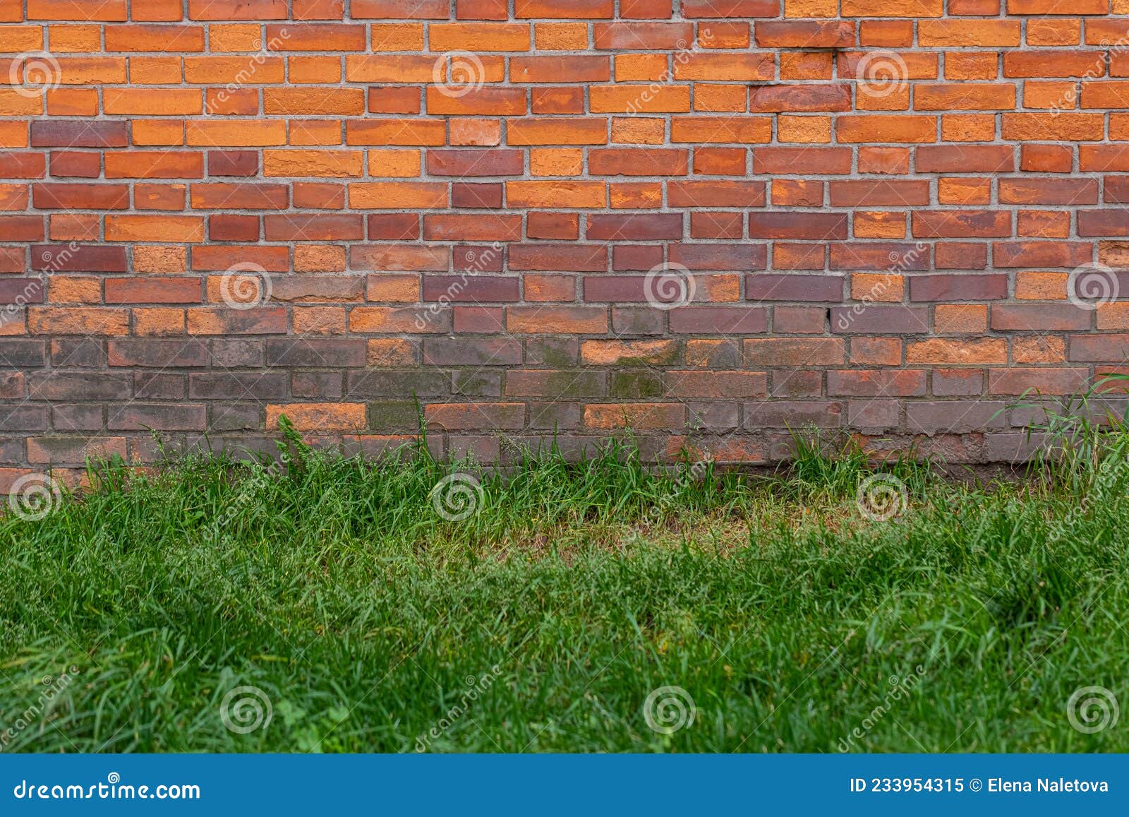 The Castle Wall is Made of Red Brick and Green Lawn Grass on the Floor ...