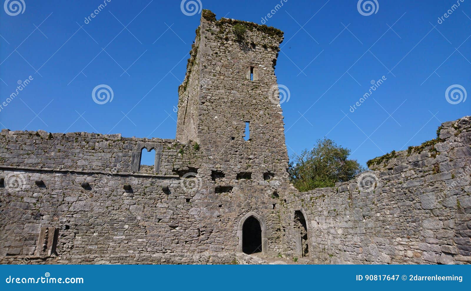 Castlelyons Priory County Cork Ireland Stock Image - Image of county ...