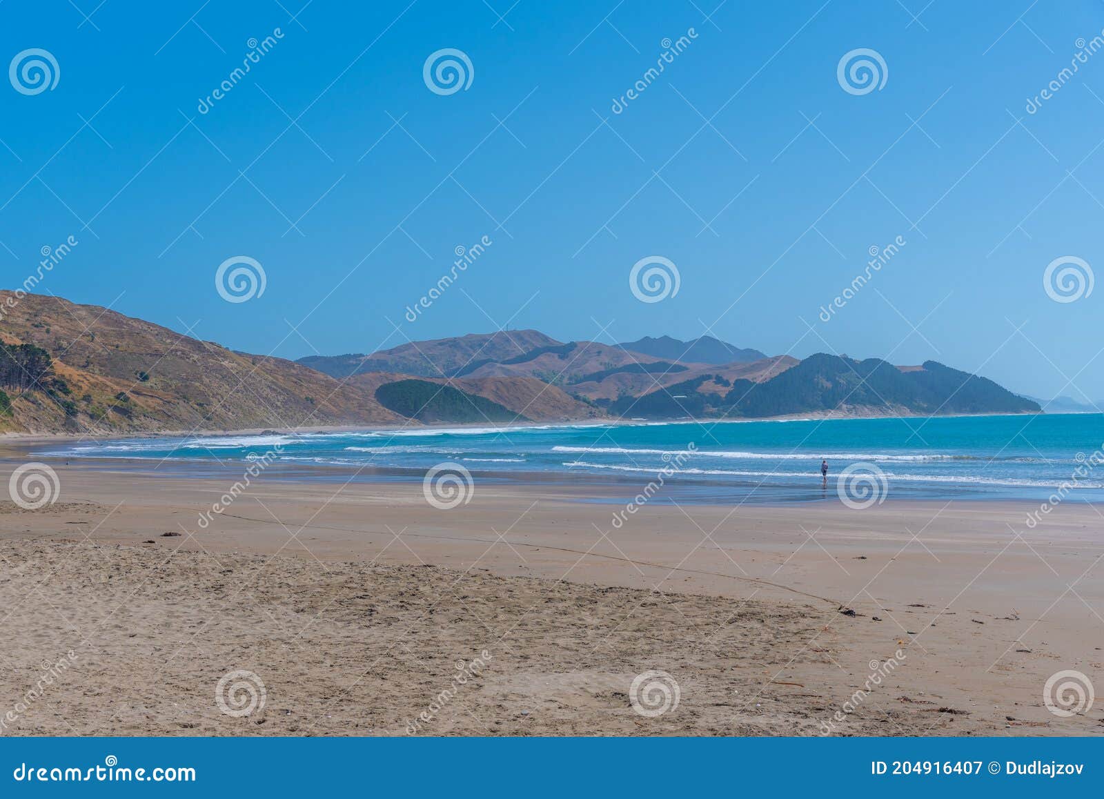 Castlepoint Beach in New Zealand Stock Image - Image of sand, summer ...