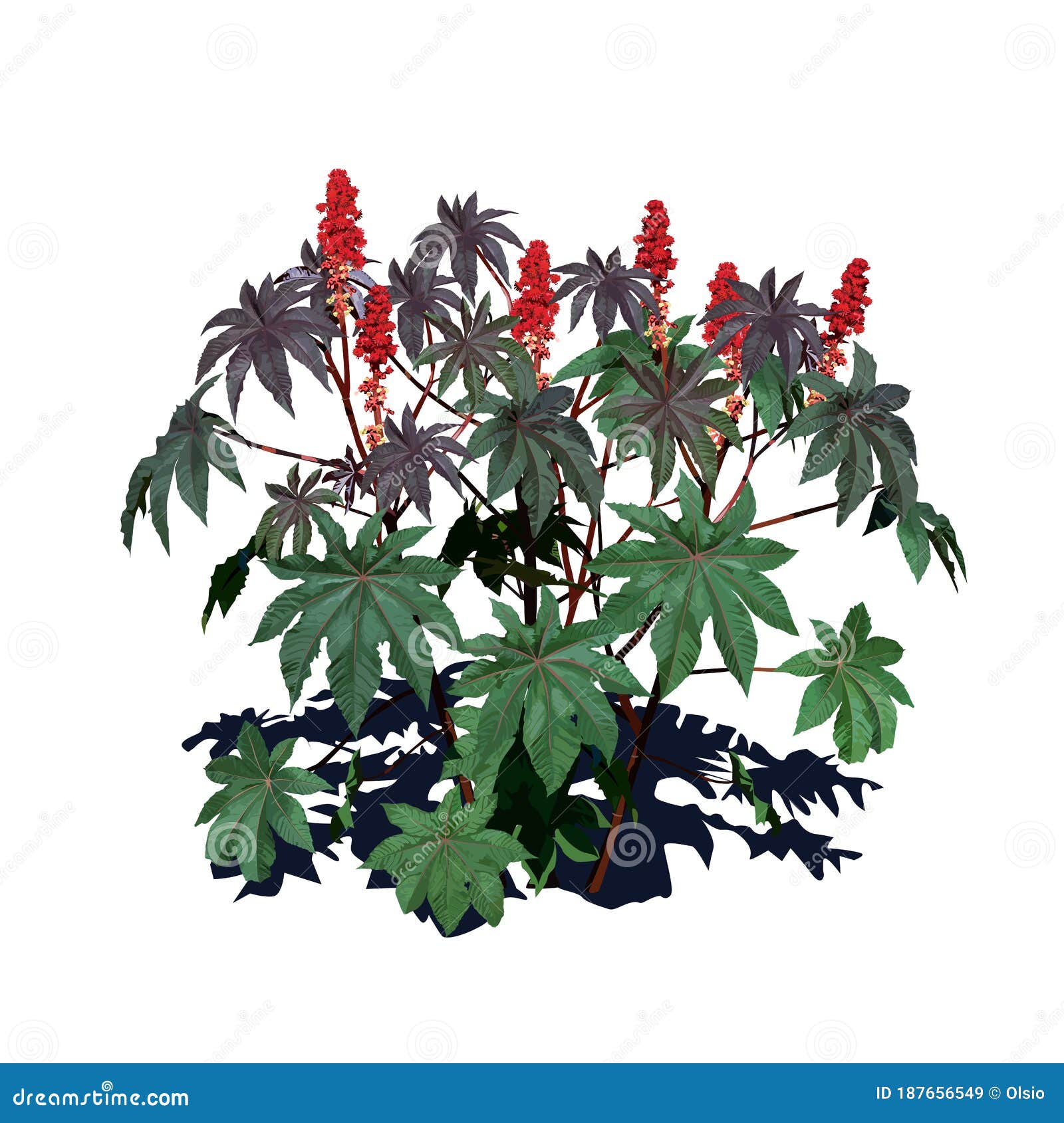 Ricinus Communis Plant Silhouette Vector Illustration | CartoonDealer ...