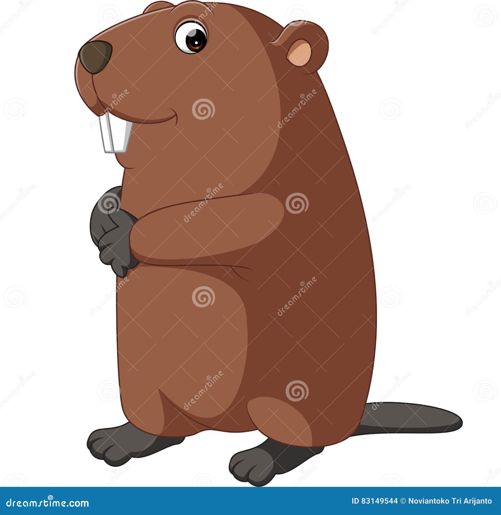 Castor Dos Desenhos Animados Ilustração do Vetor - Ilustração de sorrir ...