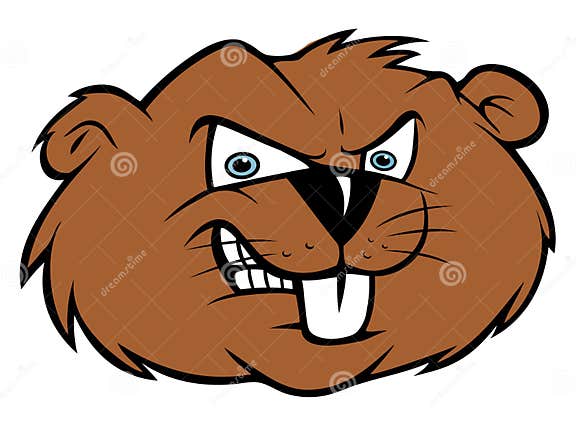 Castor enojado ilustración del vector. Ilustración de historieta - 18078573