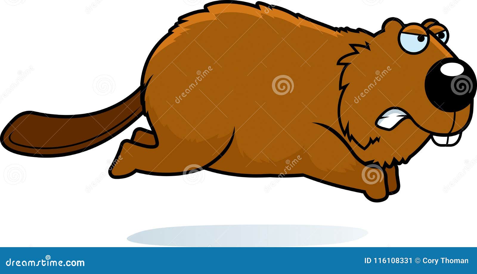 Castor Enojado De La Historieta Ilustración del Vector - Ilustración de ...