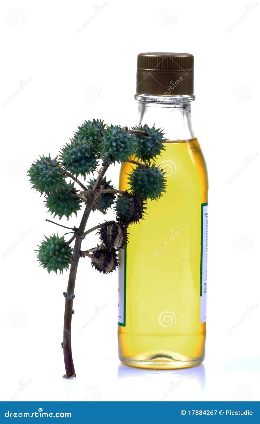 Castor Oil Bottle With Castor Fruits, Seeds And Leaf. Stock Image ...