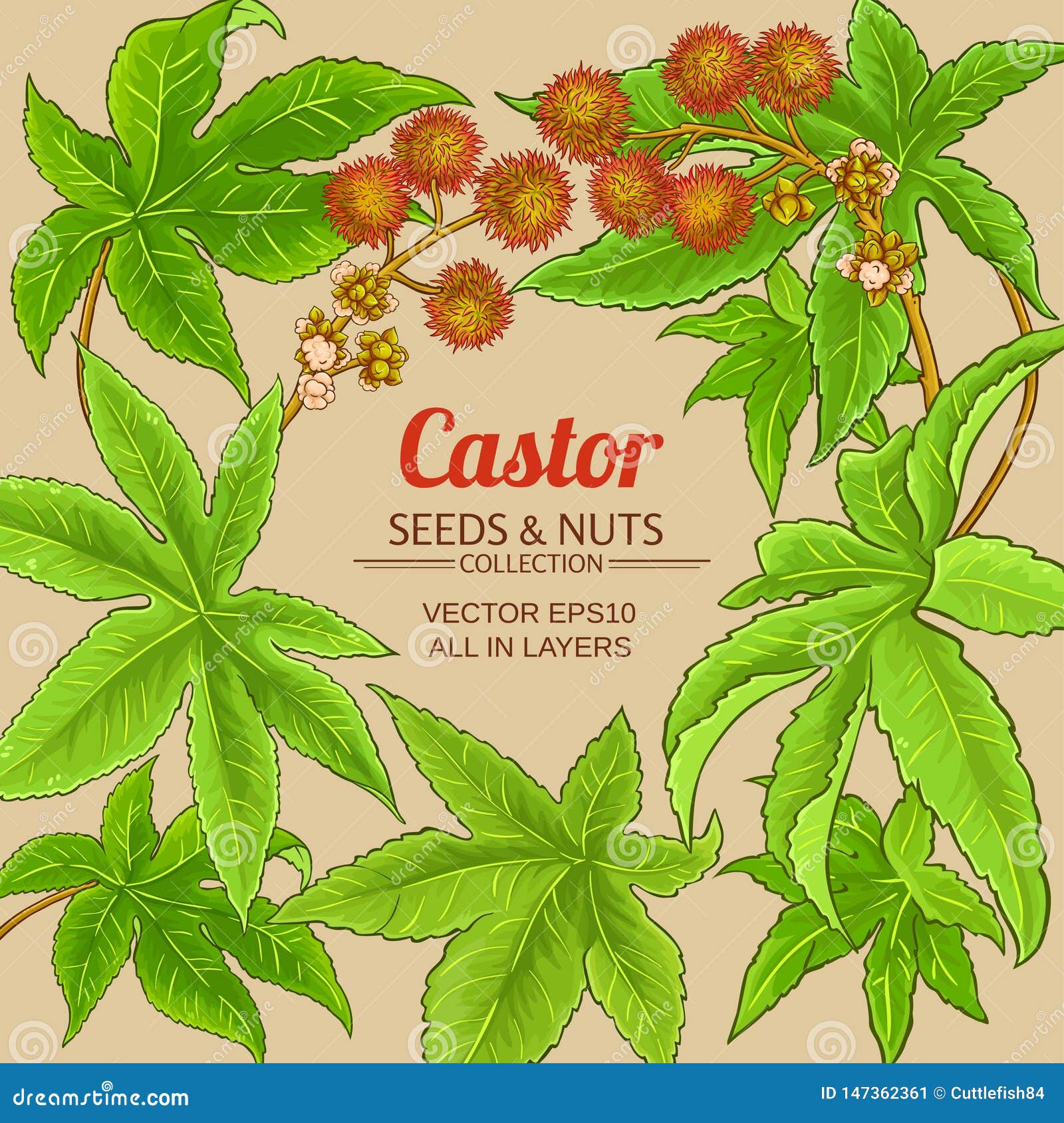 Castor vector frame stock vector. Illustration of ancient - 147362361