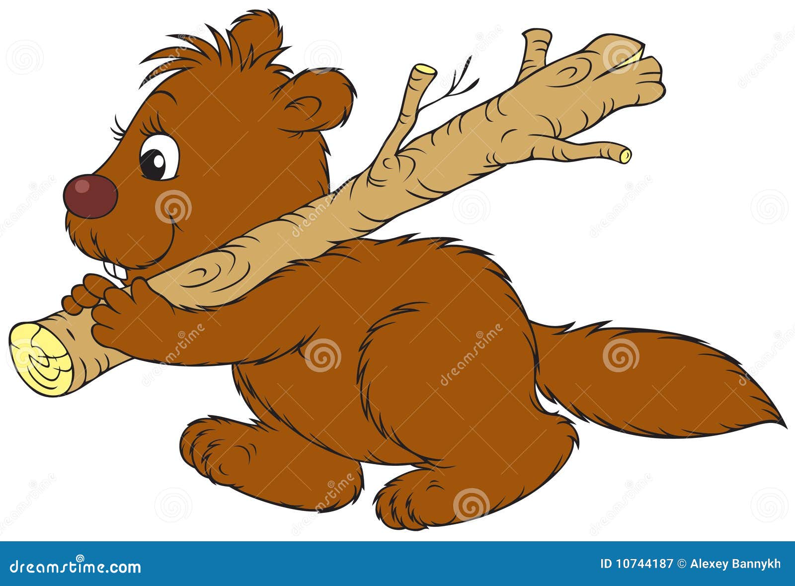 Castoro illustrazione vettoriale. Illustrazione di castoro - 10744187
