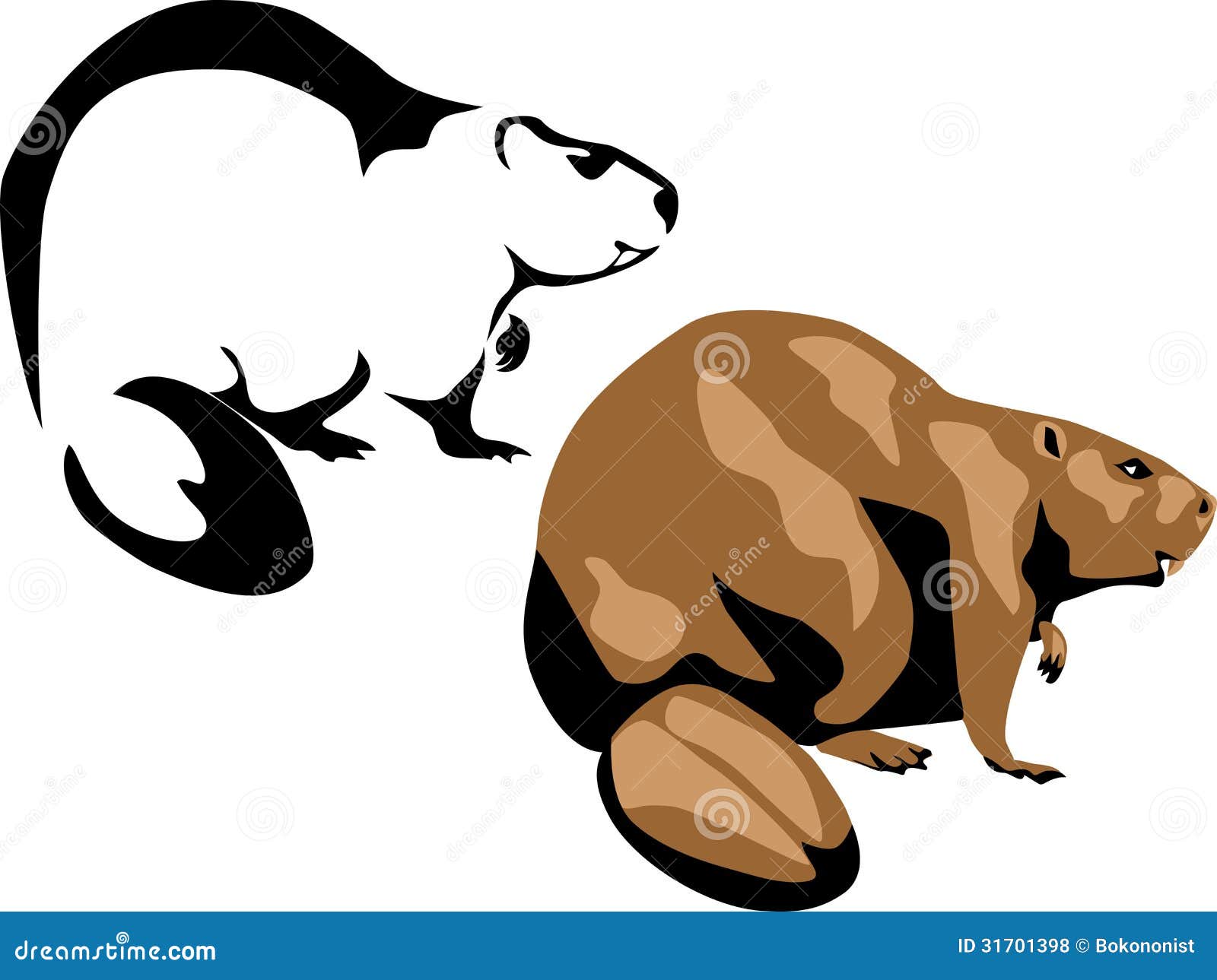 Castoro illustrazione vettoriale. Illustrazione di rosicchiamento ...