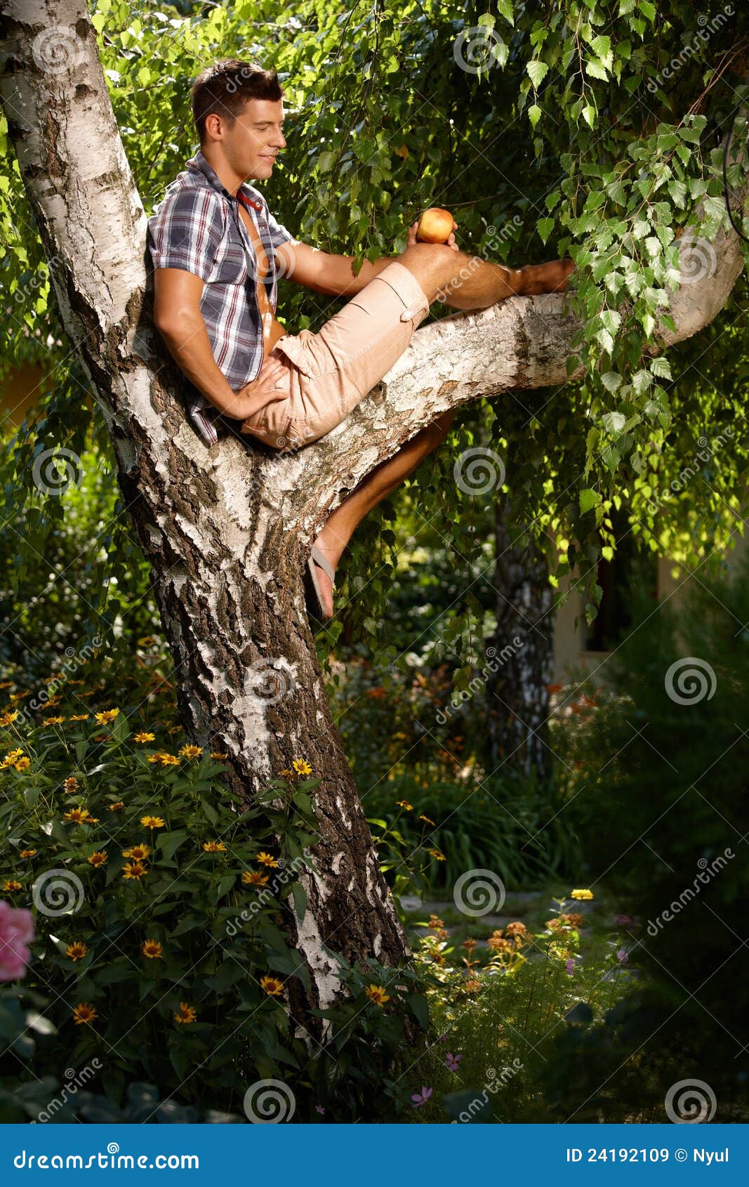 Casual Man Relaxing on Bough Stock Image - Image of lifestyle, copy ...