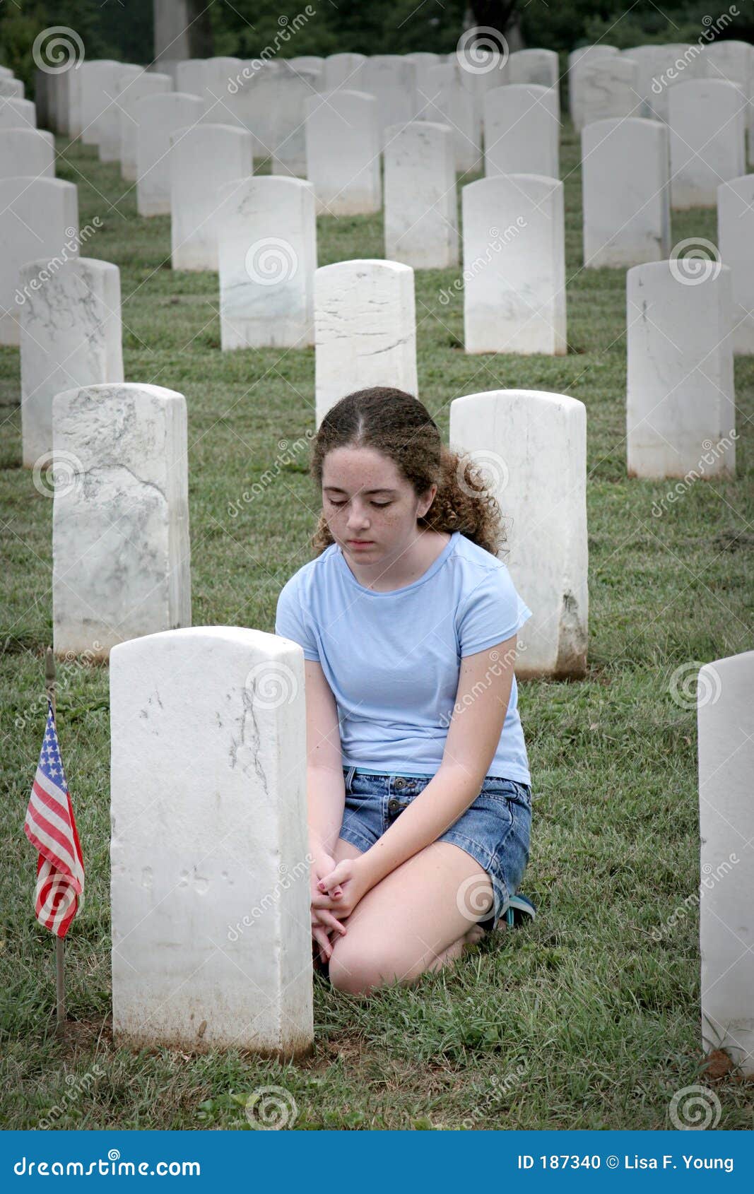 Casualties of War 2 stock photo. Image of deceased, flag - 187340 Casualties of War 2 stock photo. Image of deceased, flag - 187340
