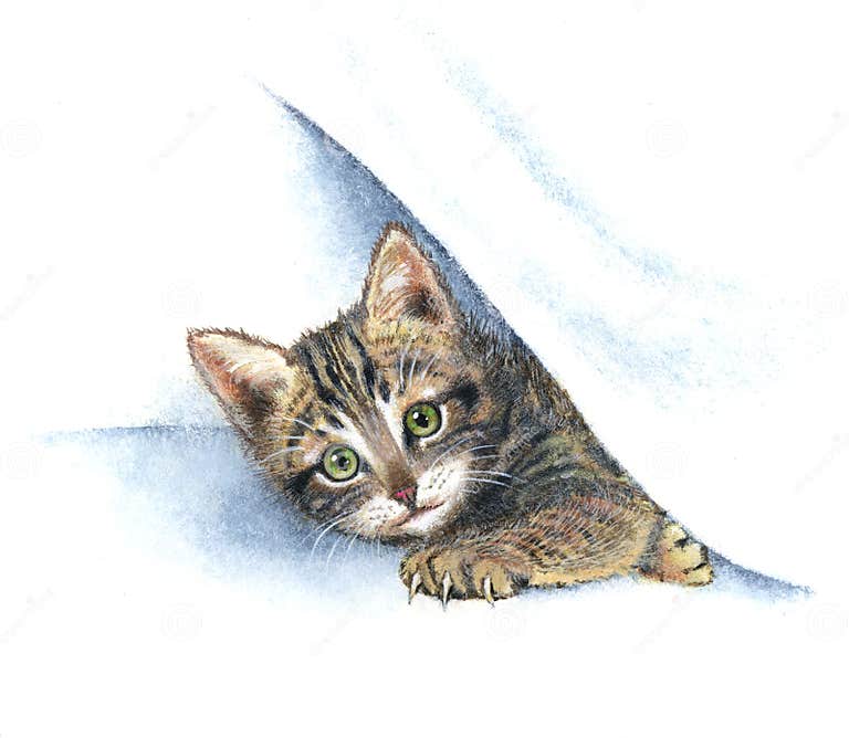 Cat stock illustration. Illustration of grovel, play, crawl - 6922748