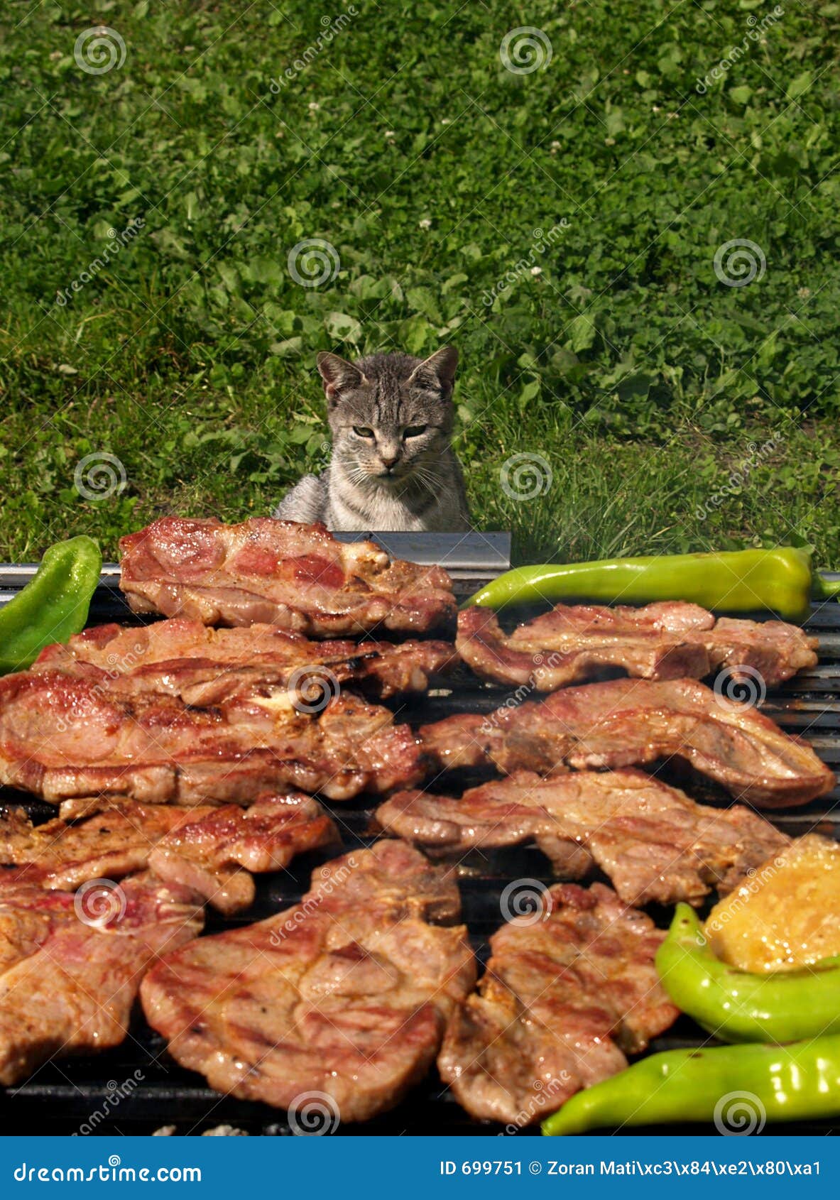 Cat stock image. Image of steak, grill, fire, animal, kitten - 699751
