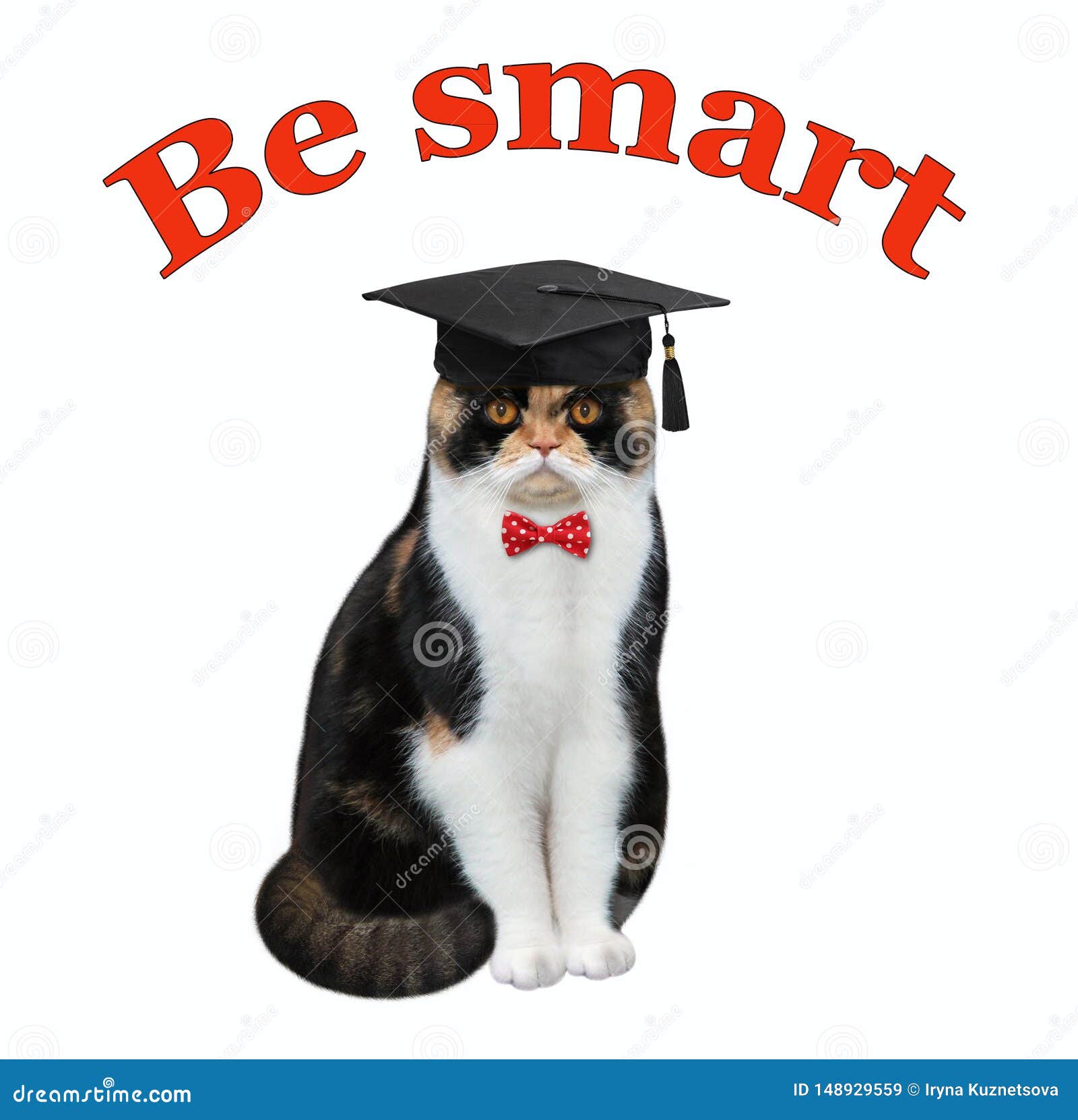 Cat in an academic hat stock image. Image of college - 148929559