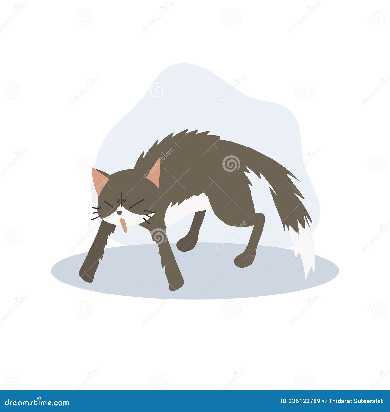 Cat in Aggressive Posture with Fluffed Up Fur. Frightened Cat Stock ...