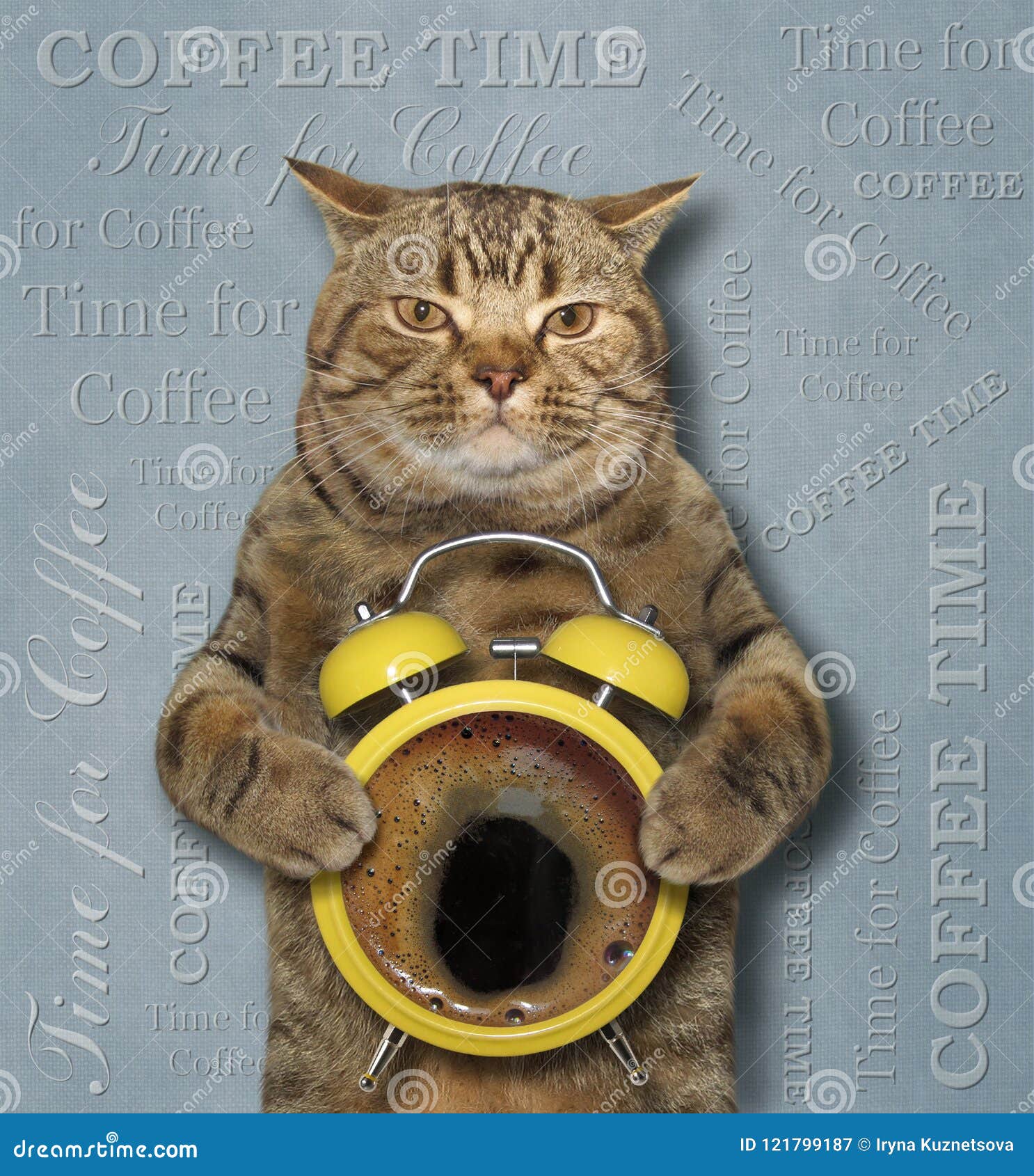 Cat with an alarm clock stock image. Image of good, rest - 121799187