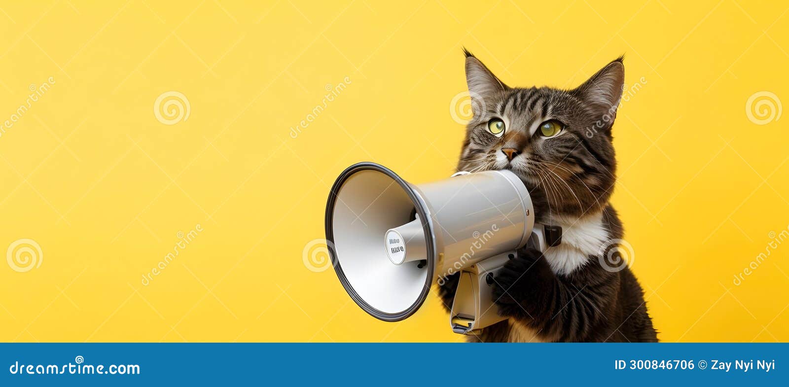 Cat Announcing Using Megaphone. Notifying, Warning, Announcement Stock ...