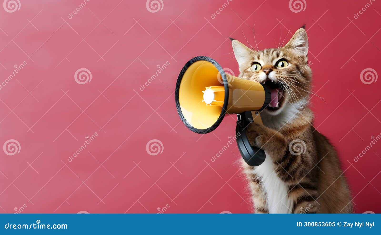 Cat Announcing Using Megaphone. Notifying, Warning, Announcement Stock ...