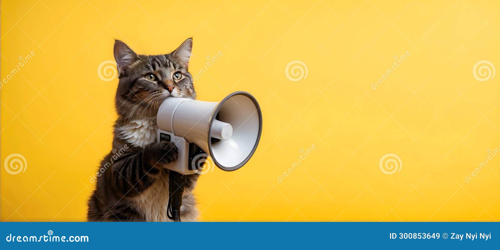 Cat Announcing Using Megaphone. Notifying, Warning, Announcement Stock ...