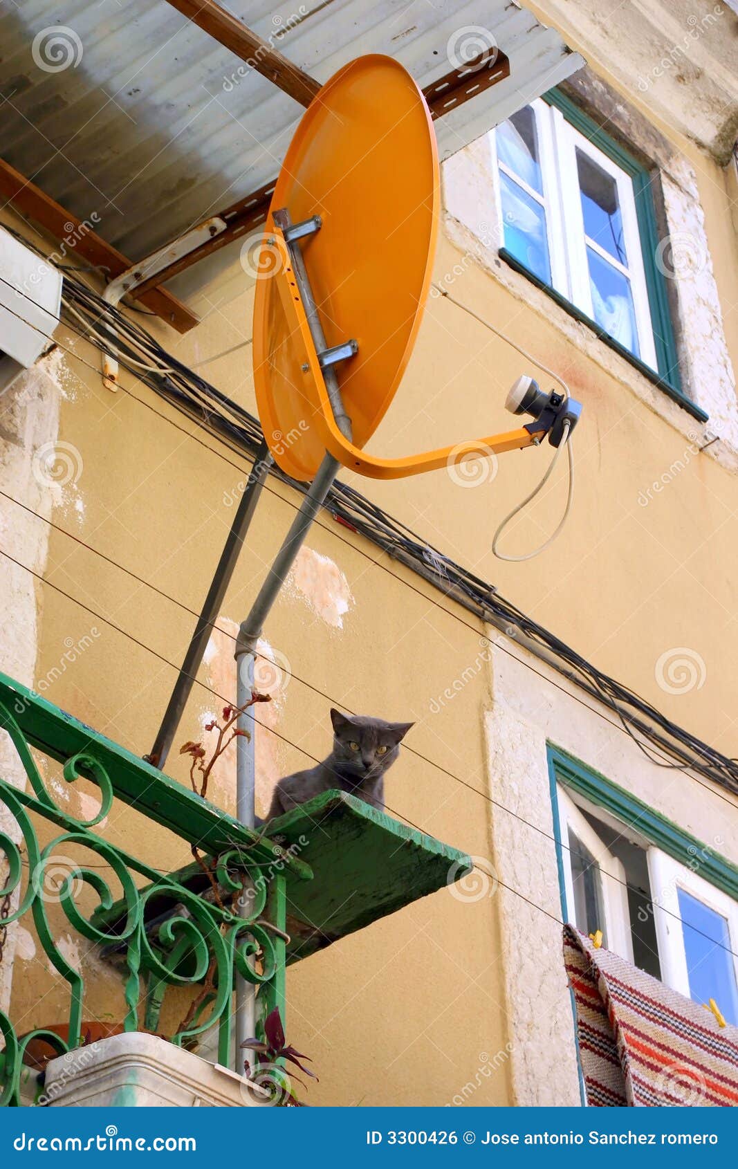 Cat and antenna stock photo. Image of clouds, cityscape - 3300426