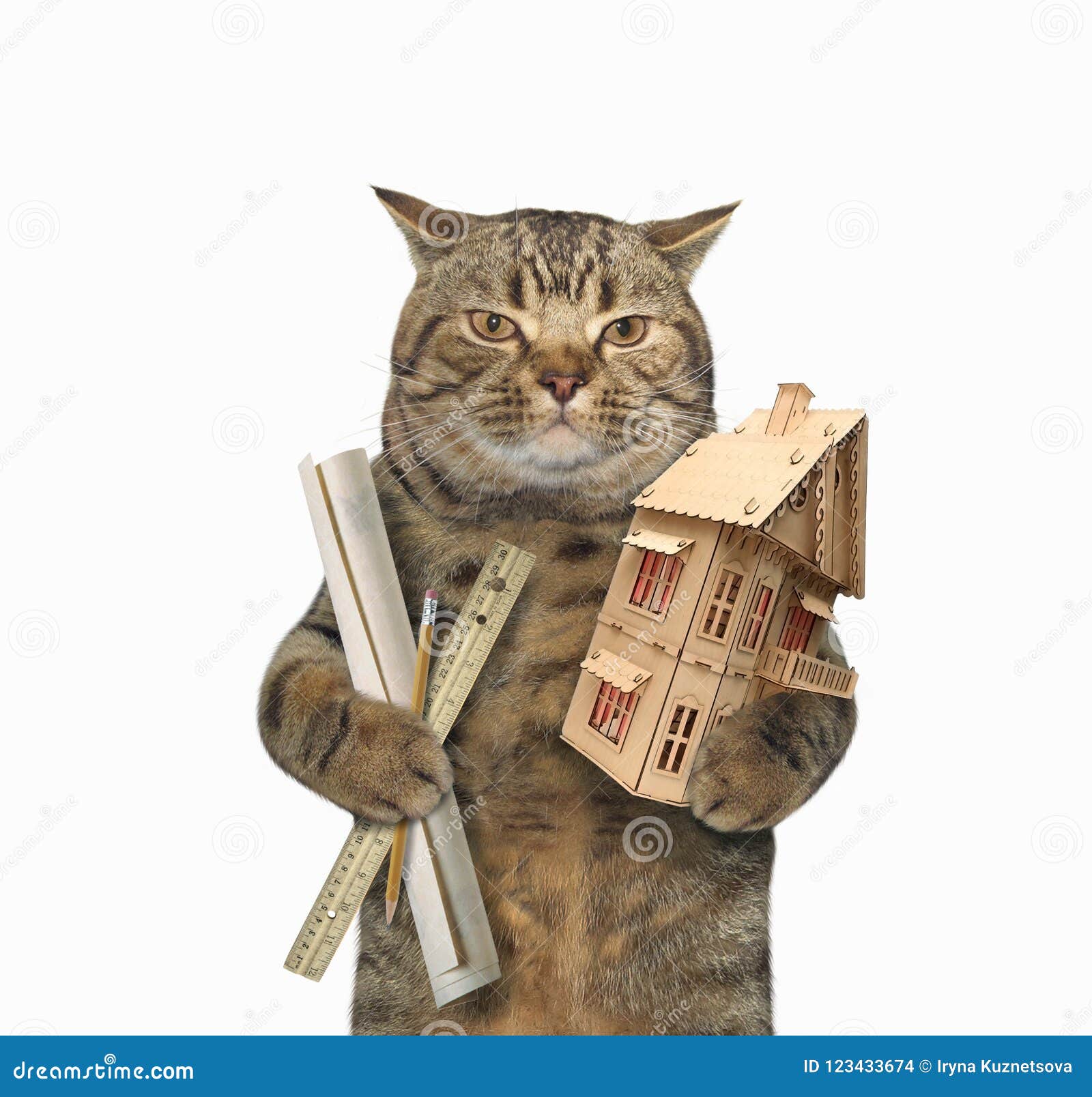 Cat Architect With House Model Stock Photo - Image of pencil, paper ...