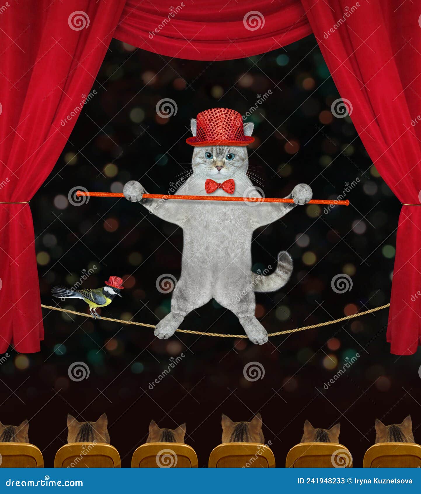 Cat Ashen Acrobat on Tightrope in Circus 2 Stock Image - Image of beige ...