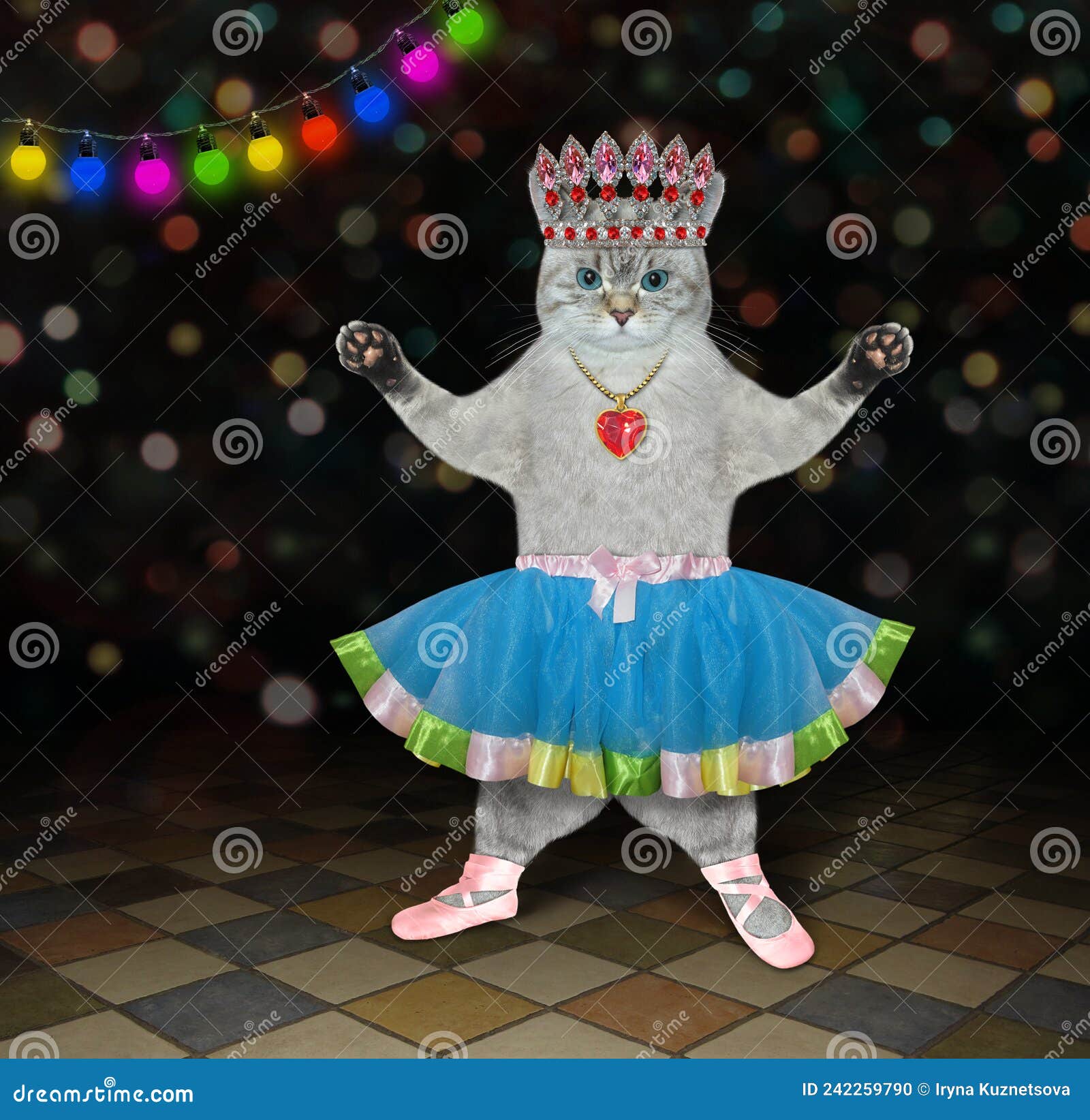 Cat Ashen Ballet Dancer In Diadem Royalty-Free Stock Photography ...