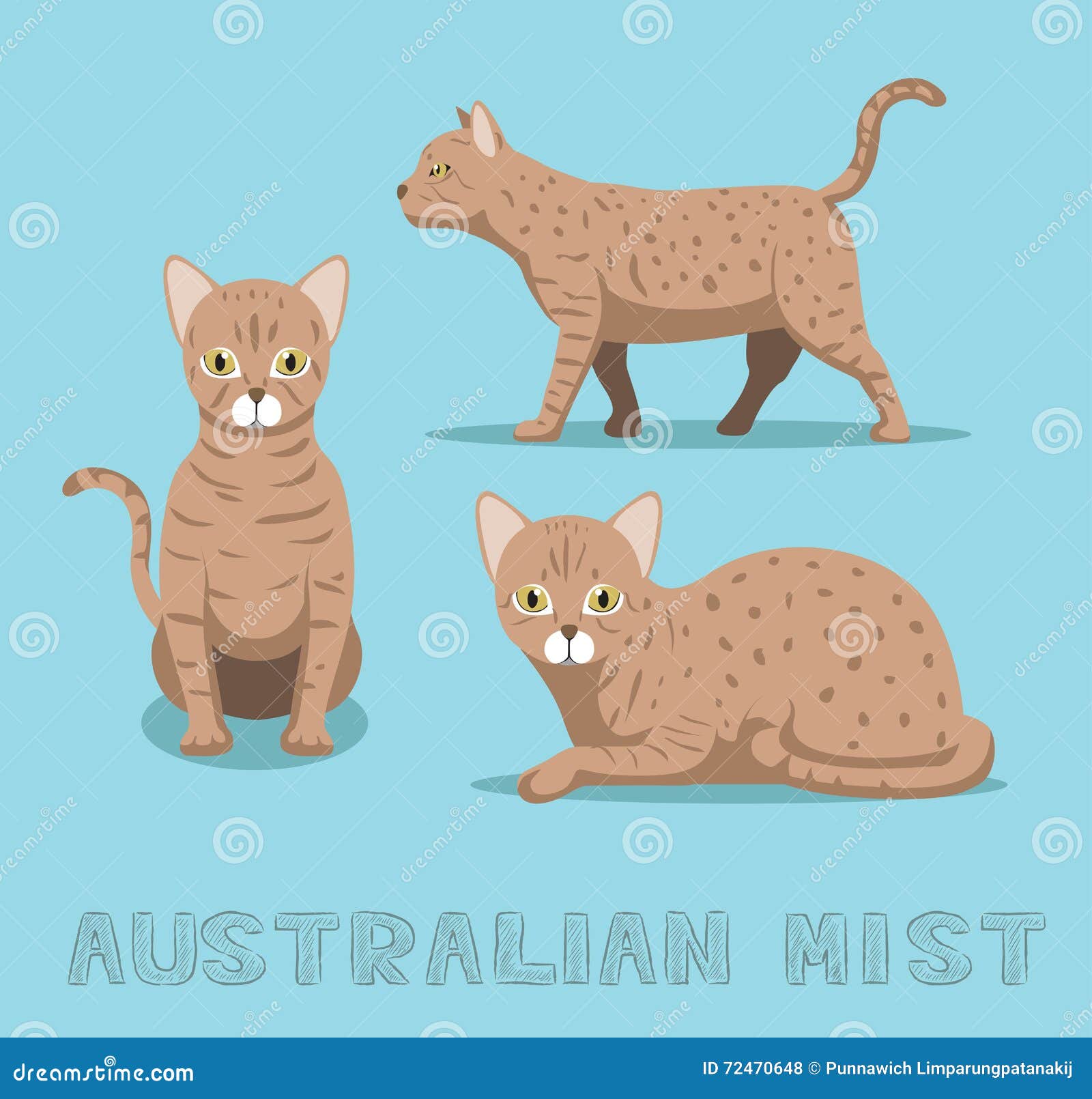 Australian Cat Stock Illustrations – 430 Australian Cat Stock ...