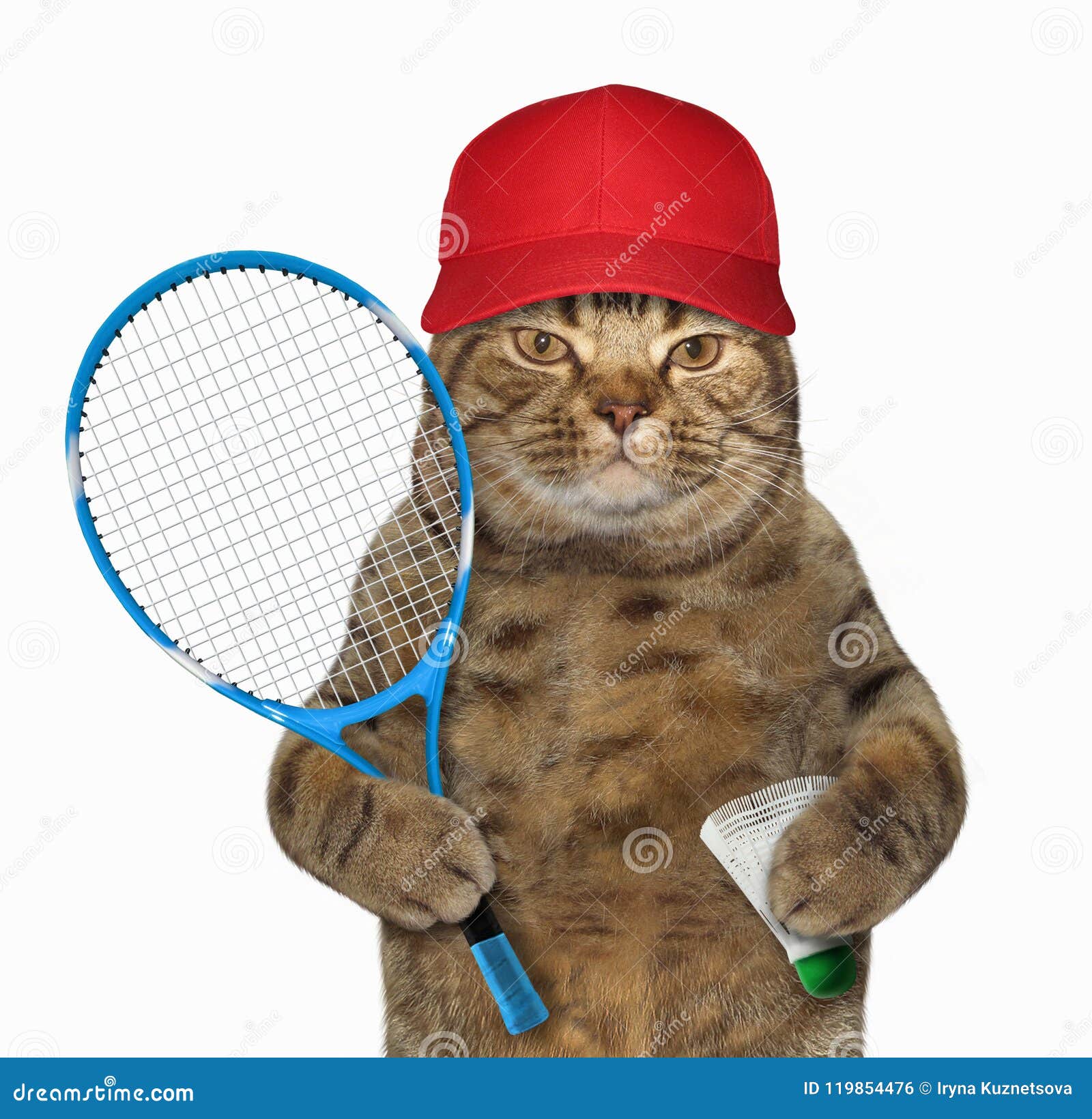 Cat with badminton racket stock photo. Image of creative - 119854476