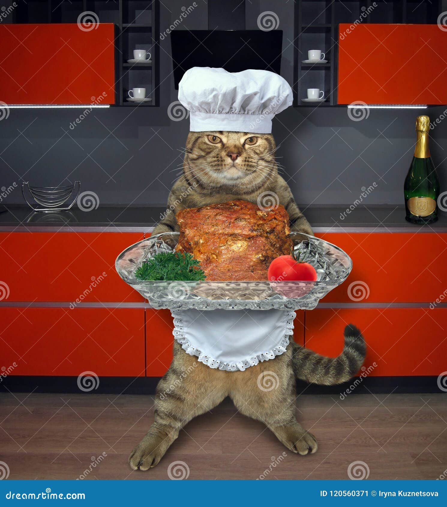 Cat with Baked Beef in Kitchen Stock Image - Image of utensils, grilled ...