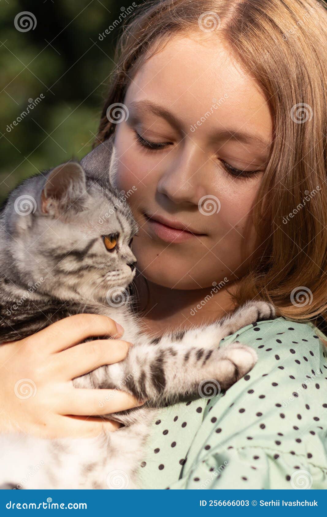 Cat Being Embraced by Its Owner. Stock Image - Image of companionship ...