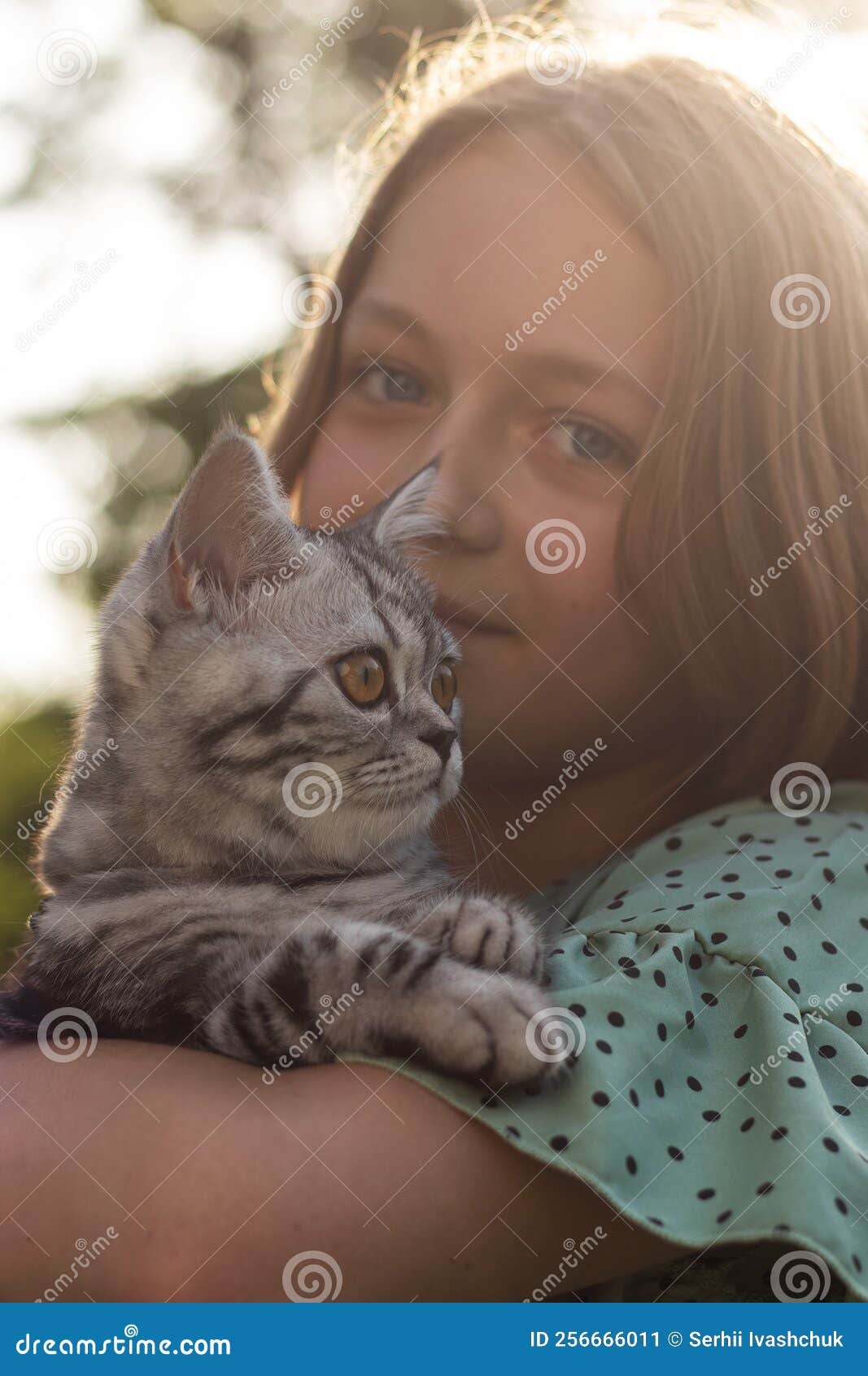 Cat Being Embraced by Its Owner. Stock Image - Image of outdoors ...