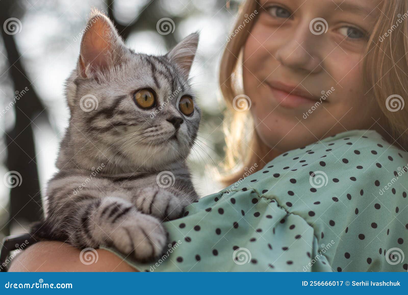 Cat Being Embraced by Its Owner. Stock Image - Image of female, nature ...