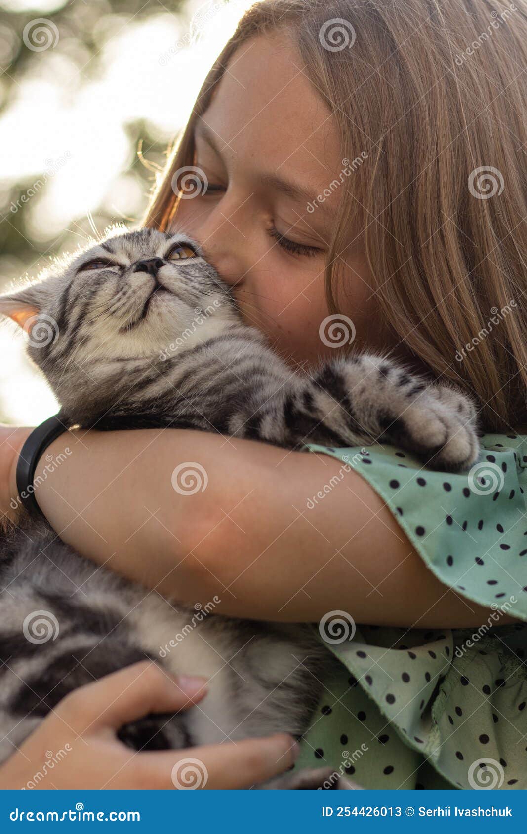 Cat Being Embraced by Its Owner. Stock Image - Image of cute, care ...