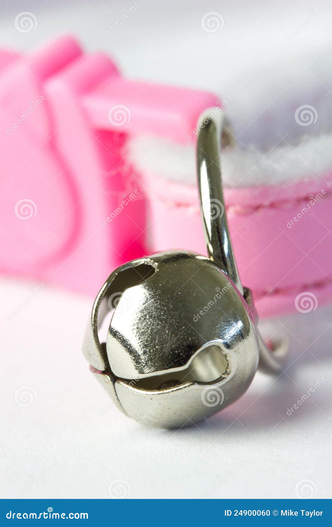 Cat Bell stock photo. Image of neck, pink, buckle, feline - 24900060