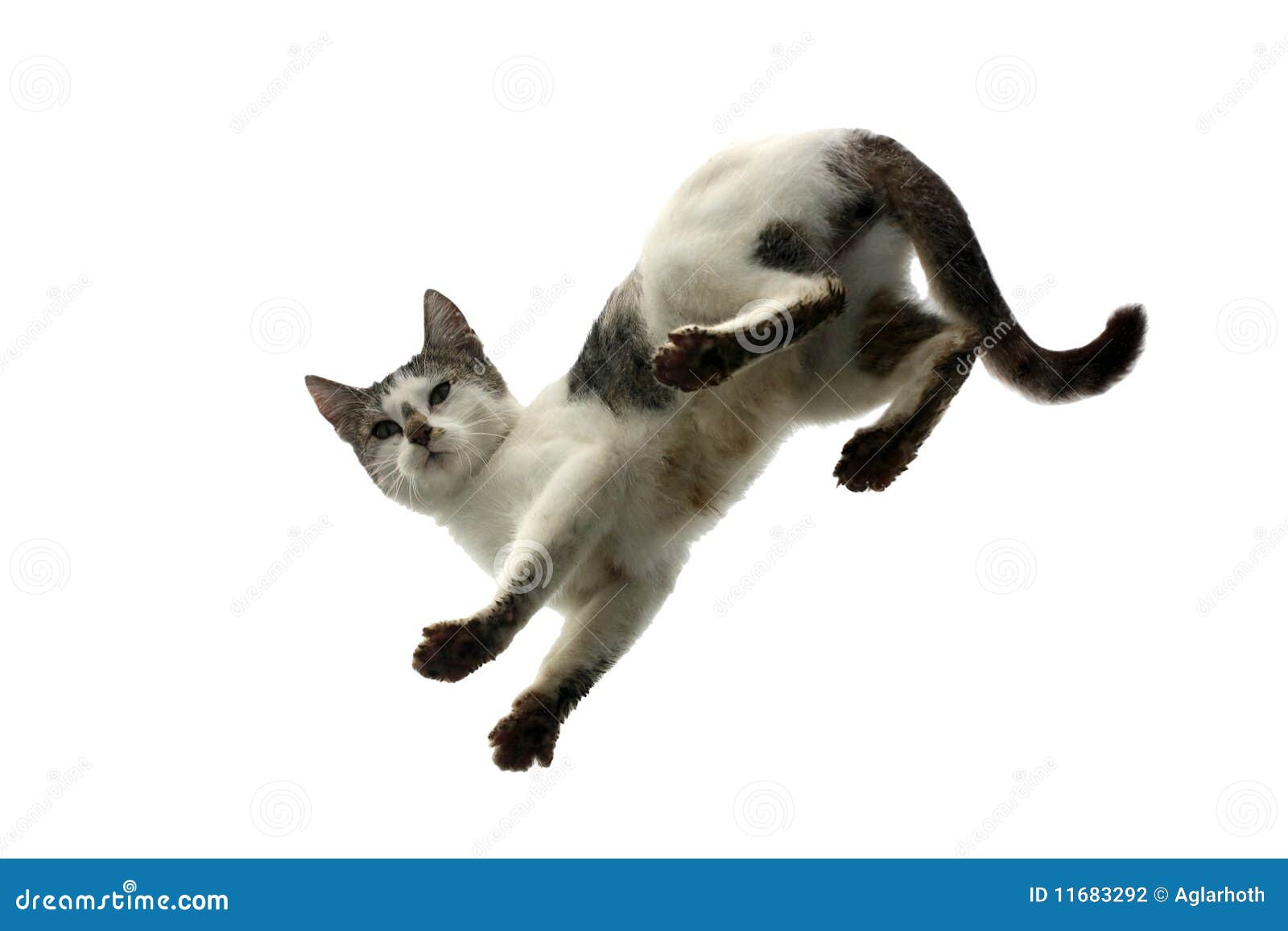 765 Curious Position Stock Photos - Free & Royalty-Free Stock Photos ...