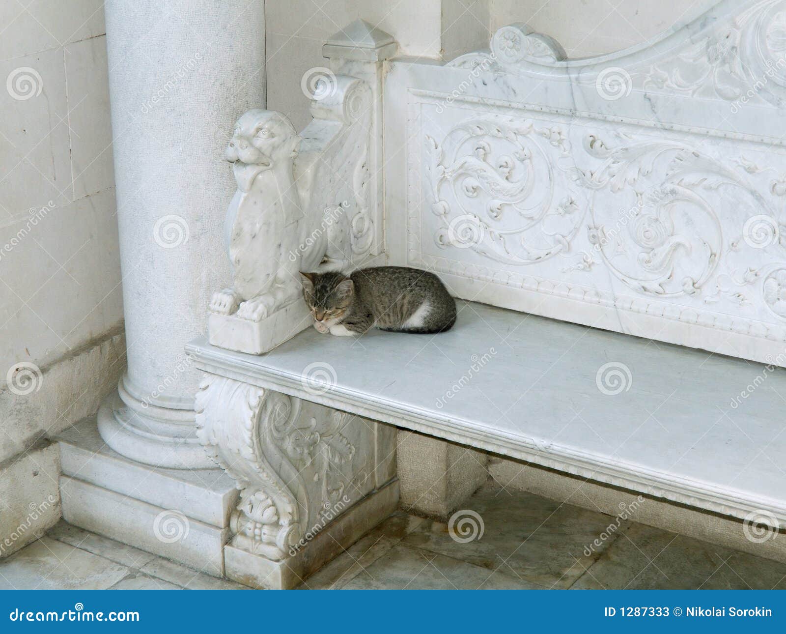 Cat on bench stock image. Image of sleepy, stay, purr - 1287333