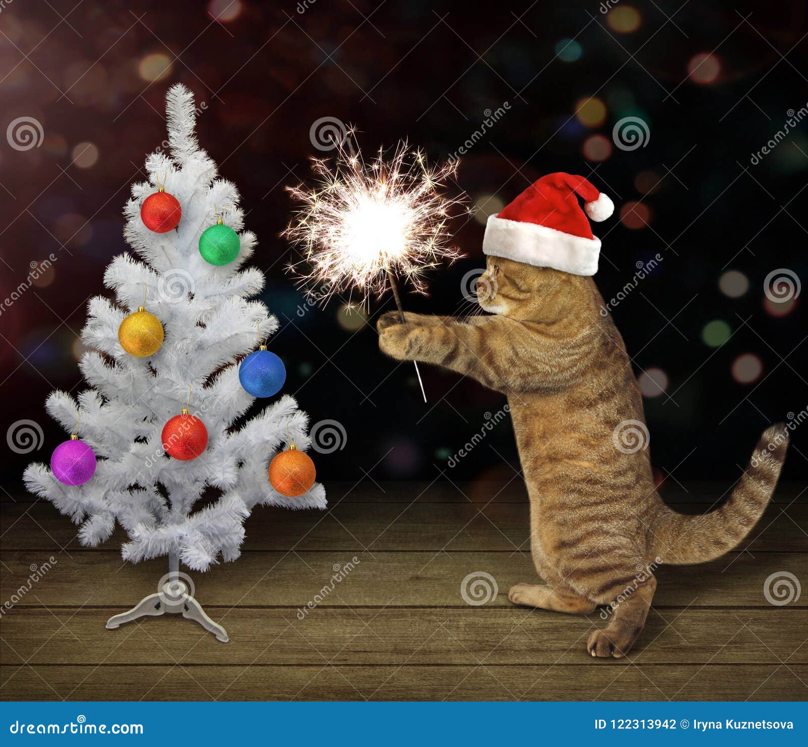 Cat with Bengal fire 2 stock photo. Image of multi, year - 122313942