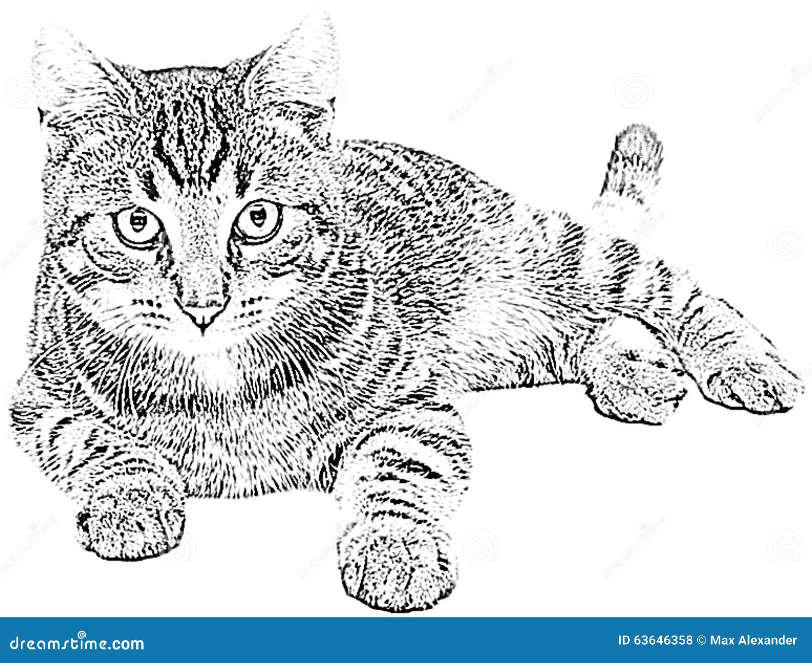 Cat stock photo. Image of tree, tulip, leaf, outline - 63646358