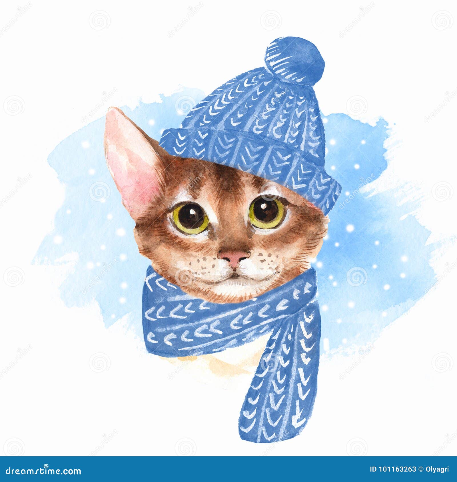 Cat in blue hat stock illustration. Illustration of domestic - 101163263