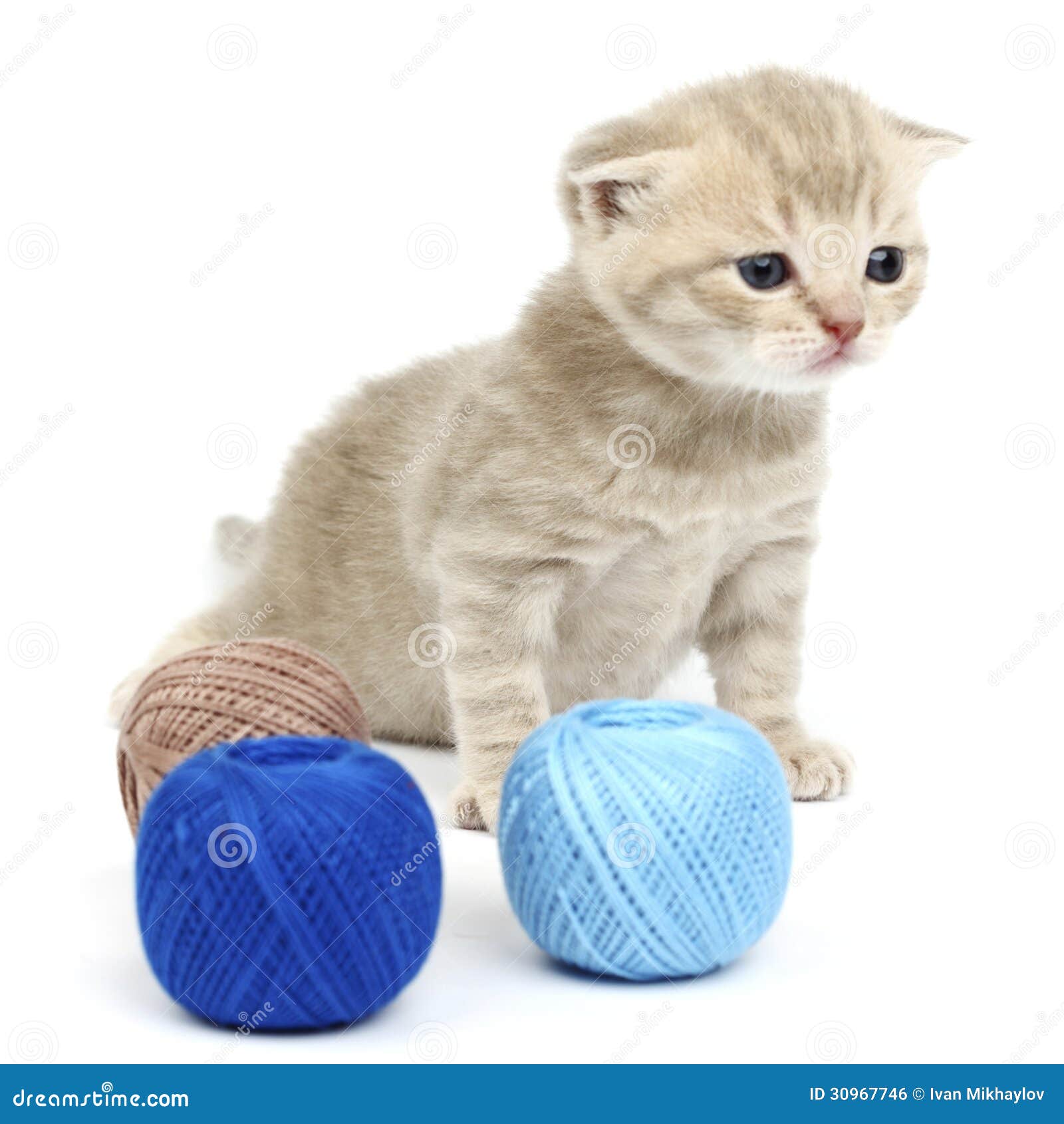 Cat and blue wool ball stock photo. Image of cute, beauty - 30967746