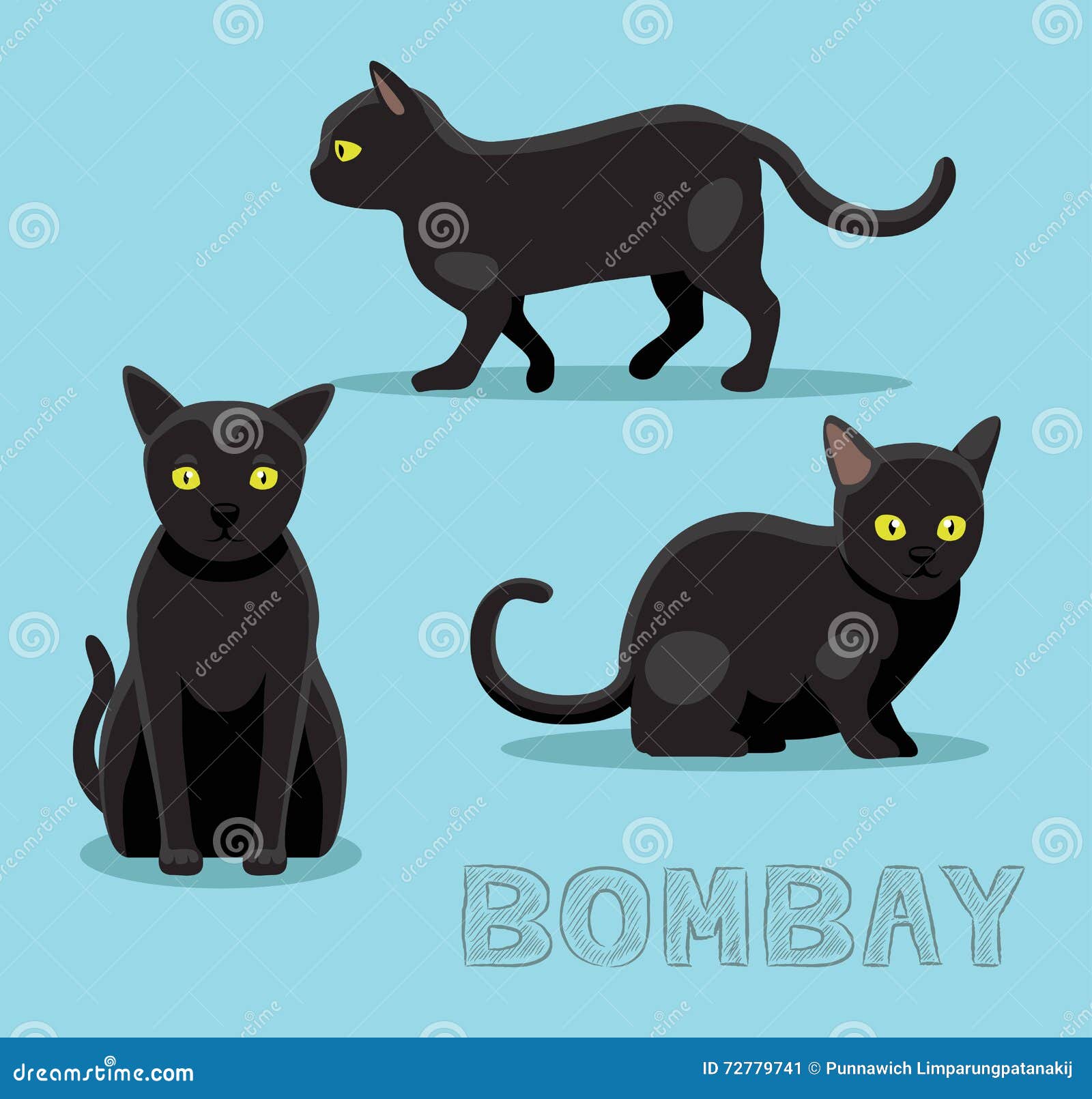 Cat Bombay Cartoon Vector Illustration Illustration de Vecteur ...