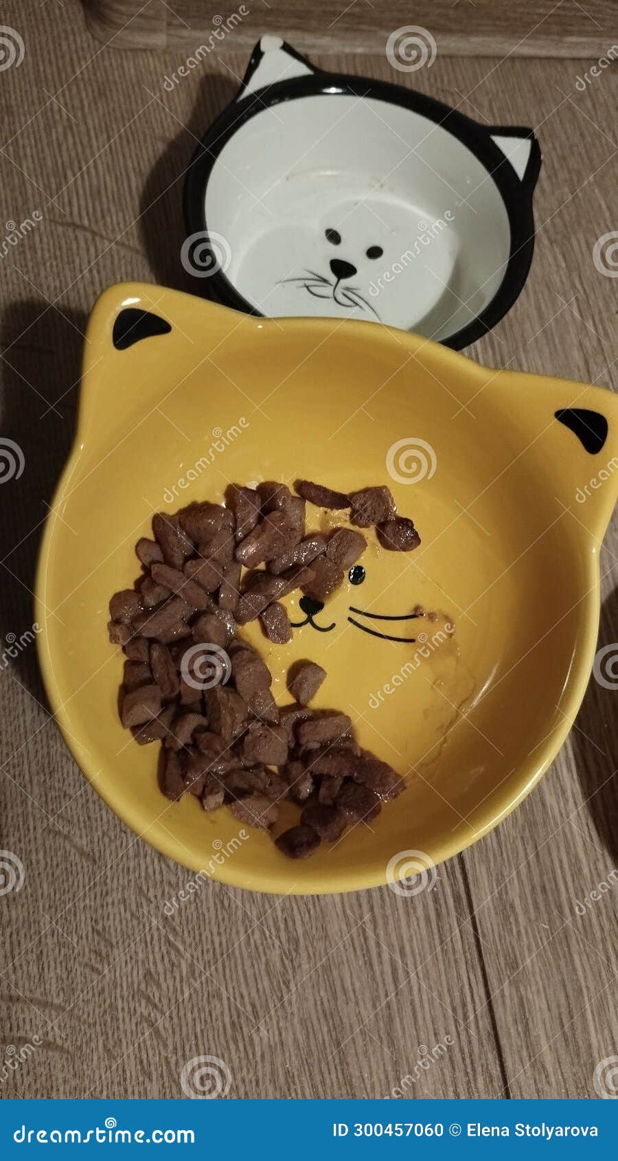 Cat Bowls with Cat Faces and Ears with Food Stock Photo - Image of ...
