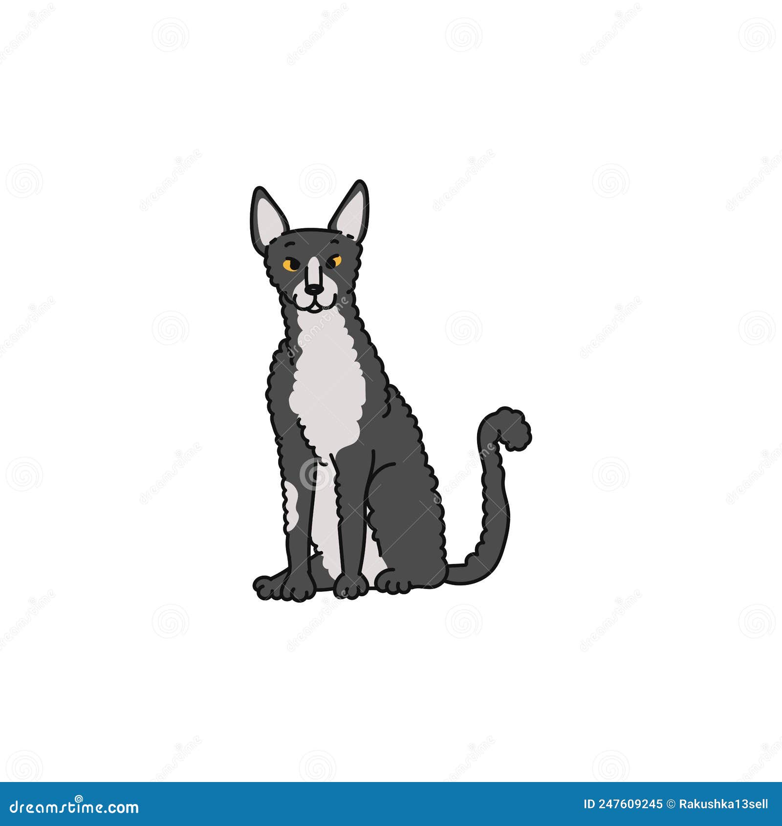 Cat Cornish Rex, Sketch, Outline. Black Line Drawing Stock Photography ...