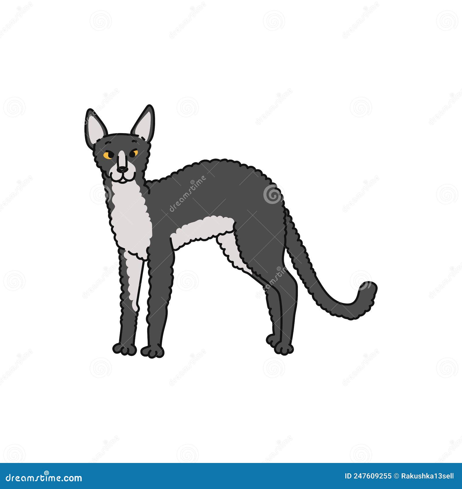 Cat Cornish Rex, Sketch, Outline. Black Line Drawing Stock Photography ...