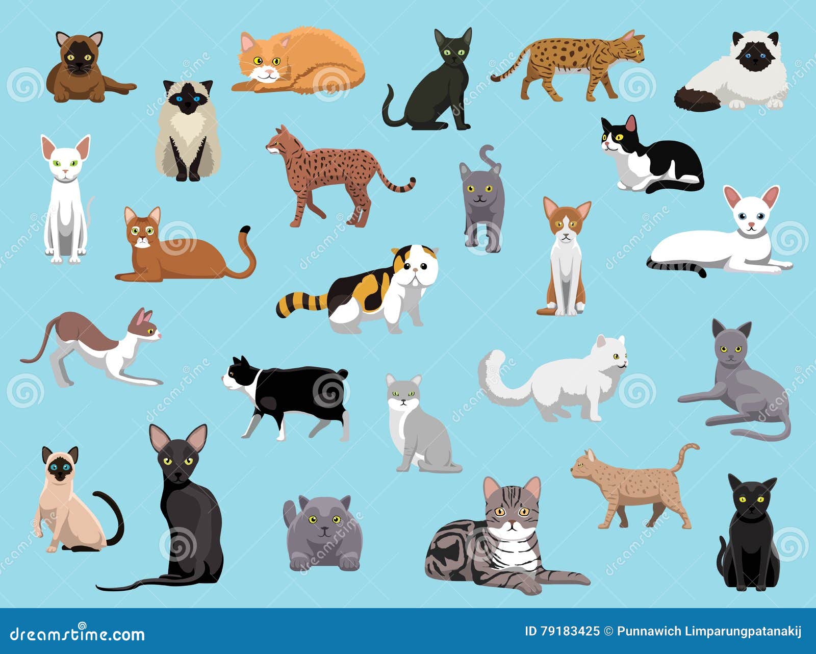 25 Cat Breeds Cartoon Vector Illustration Stock Vector - Illustration ...