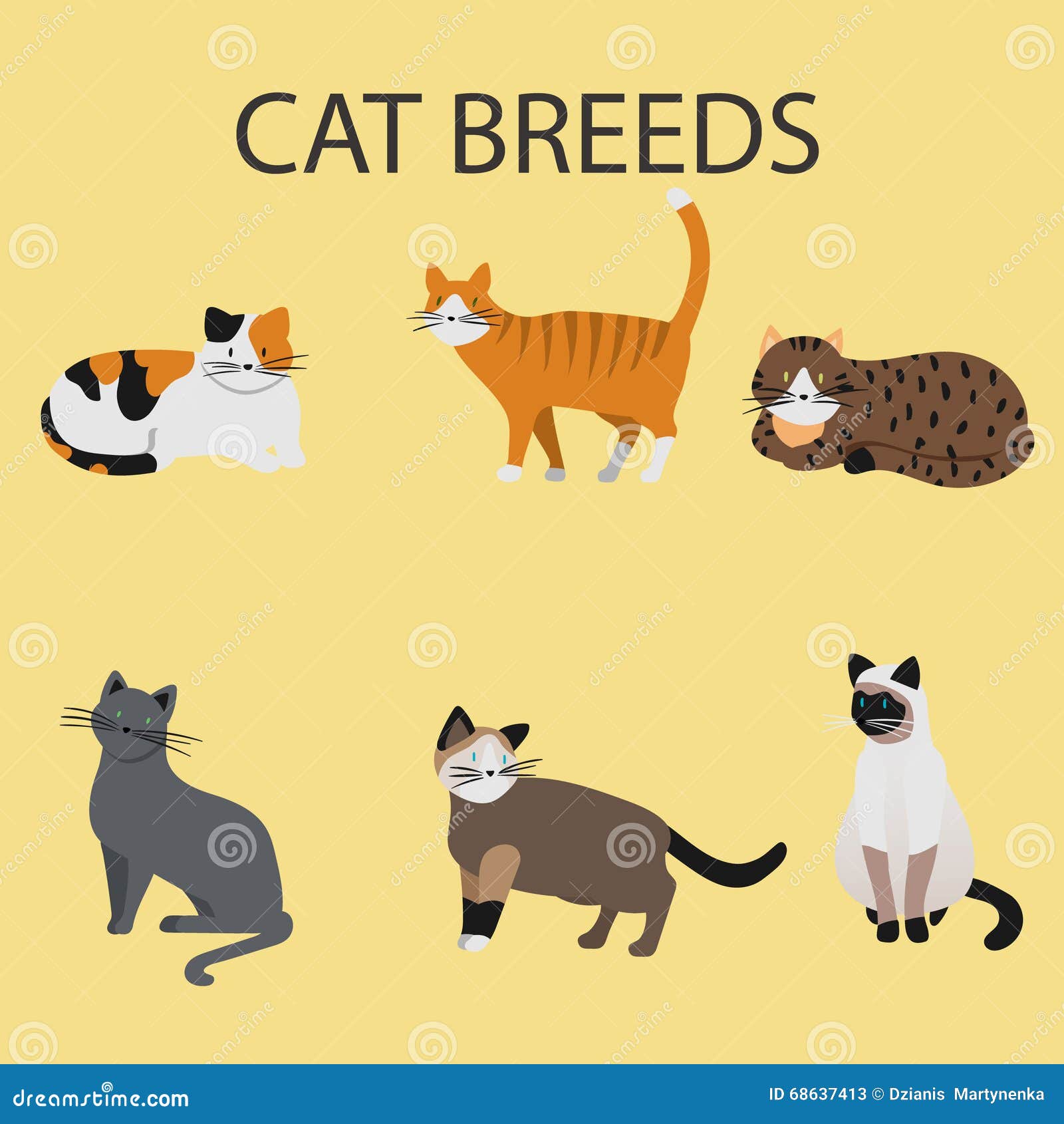 Cat Breeds, cat icons stock vector. Illustration of graphic - 68637413