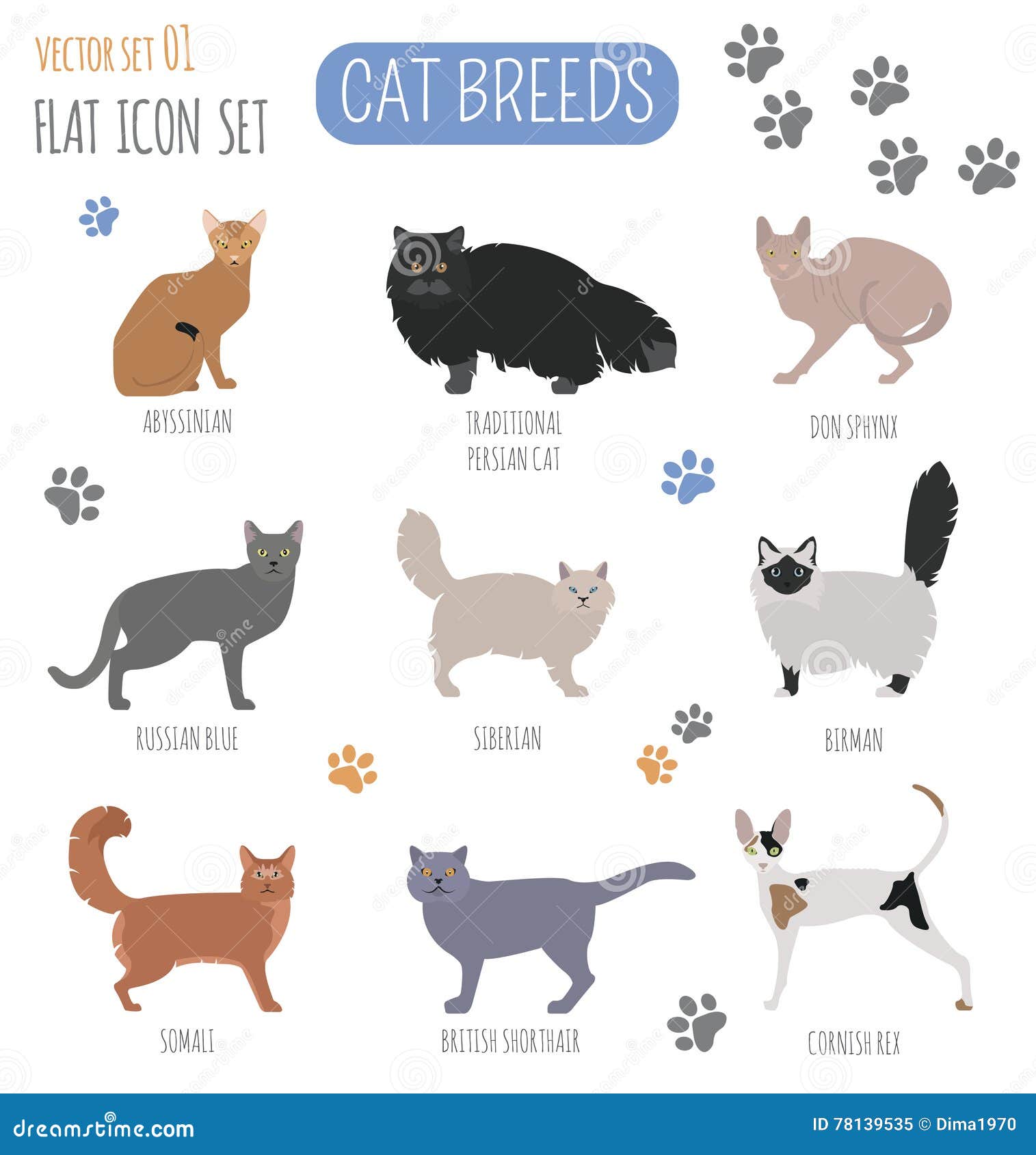 Cat Breeds Icon Set Flat Style Stock Vector - Illustration of coon ...